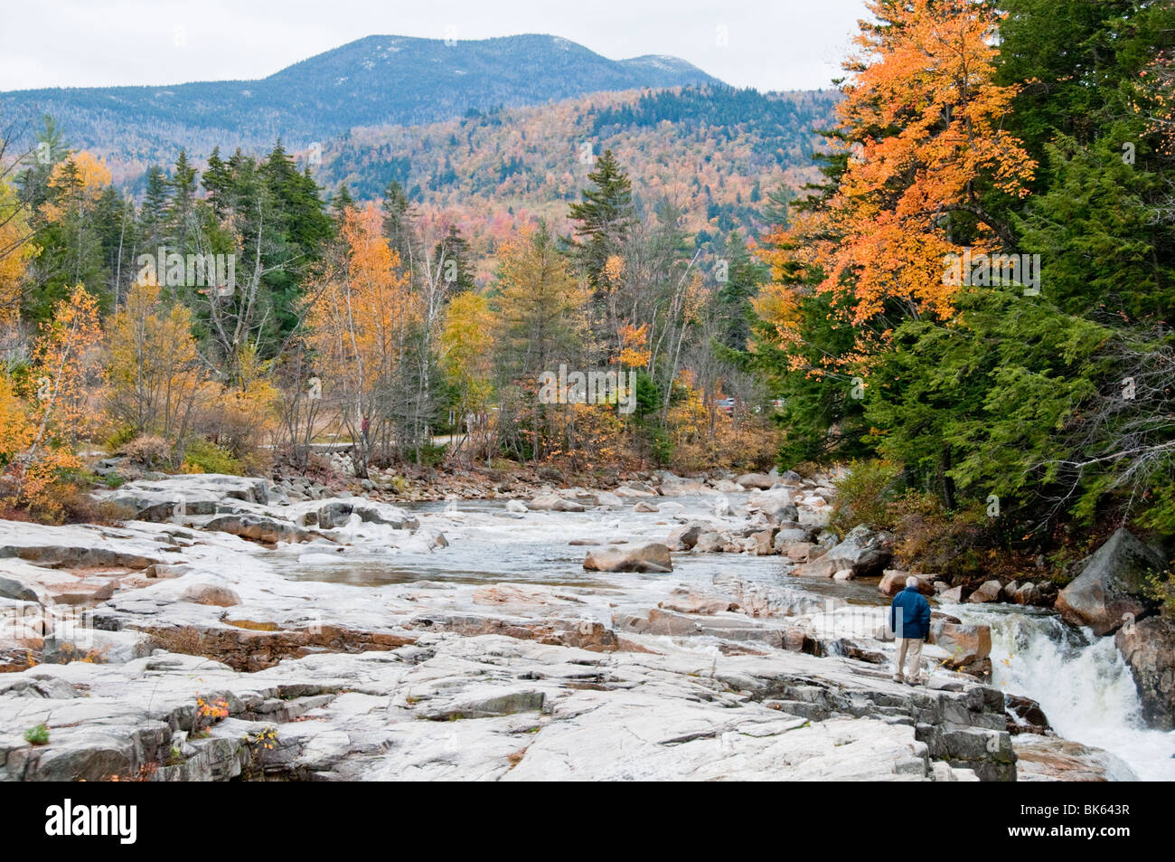 Fall Foliage,Autumn Colors,Colour,The Flume Gorge River,White Mountain ...