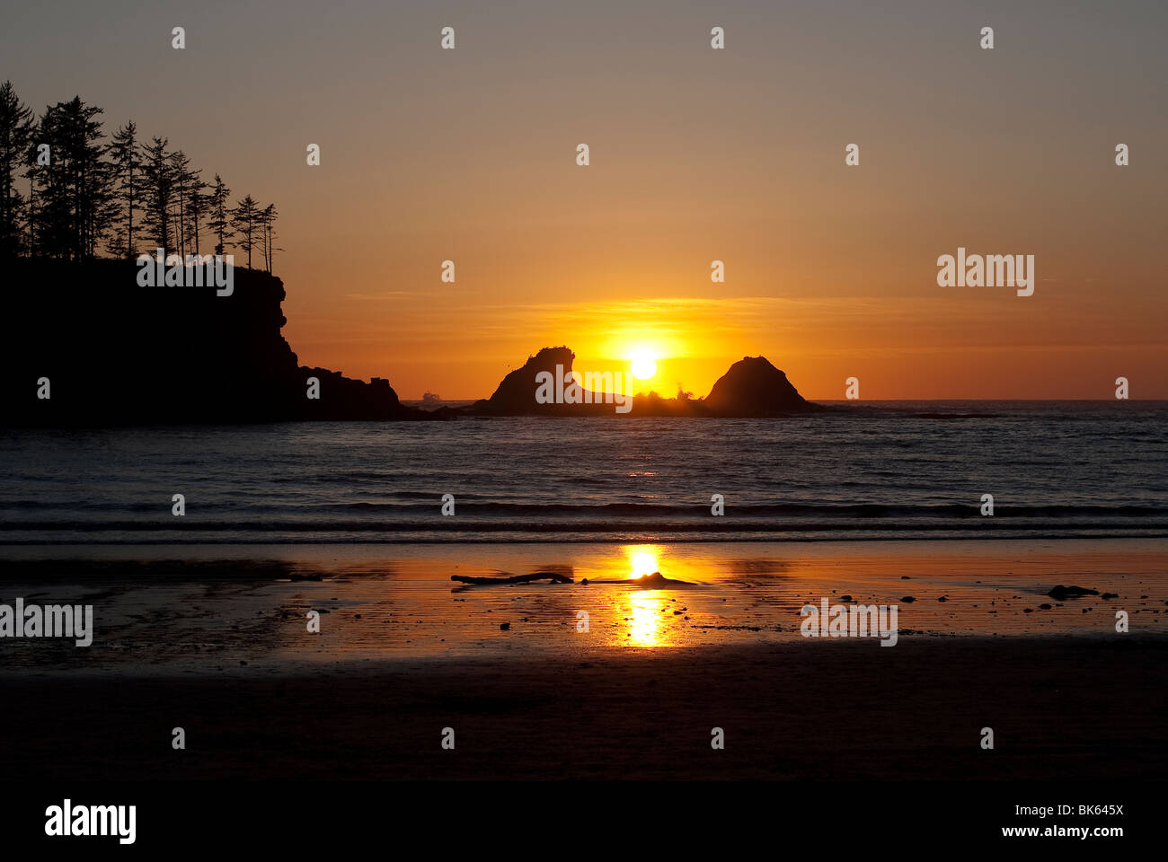 Coos bay branch hi-res stock photography and images - Alamy