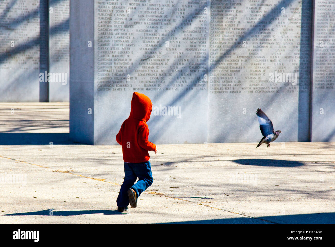 New york manhattan bird hi-res stock photography and images - Alamy