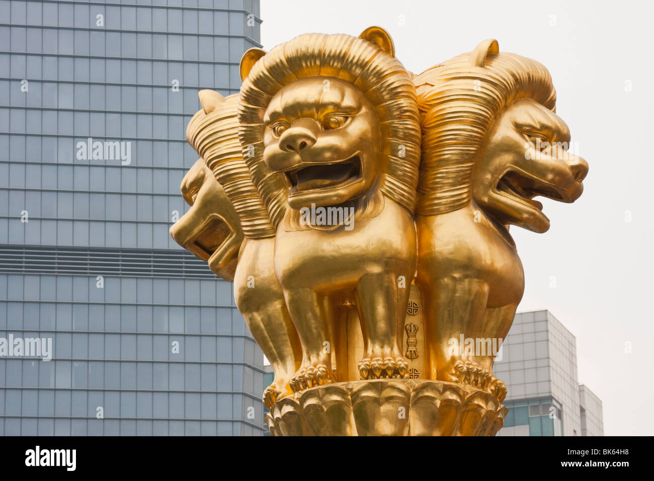 Golden lions hi-res stock photography and images - Alamy