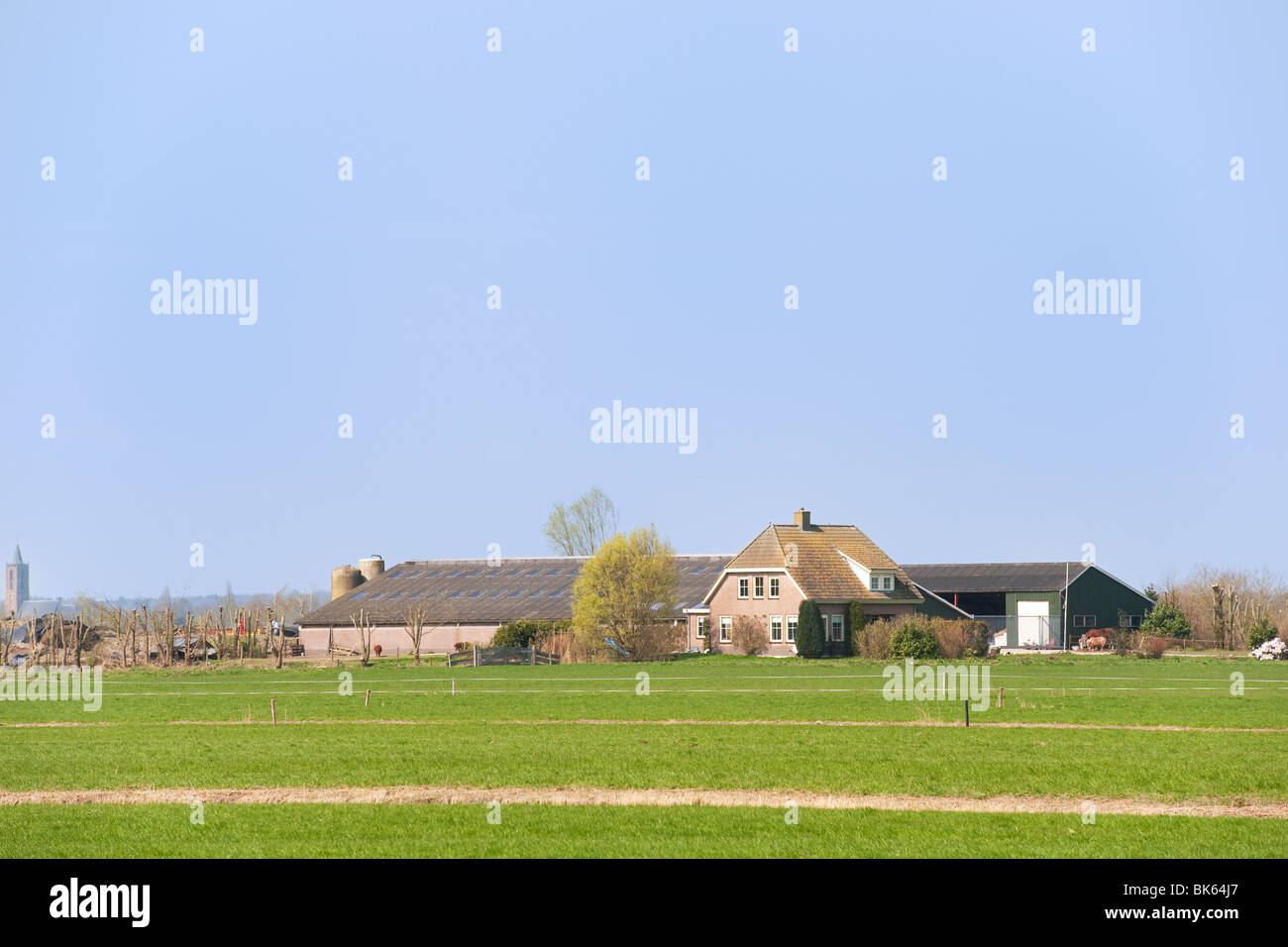 Dutch farmhouse with stables in landscape with meadows Stock Photo - Alamy
