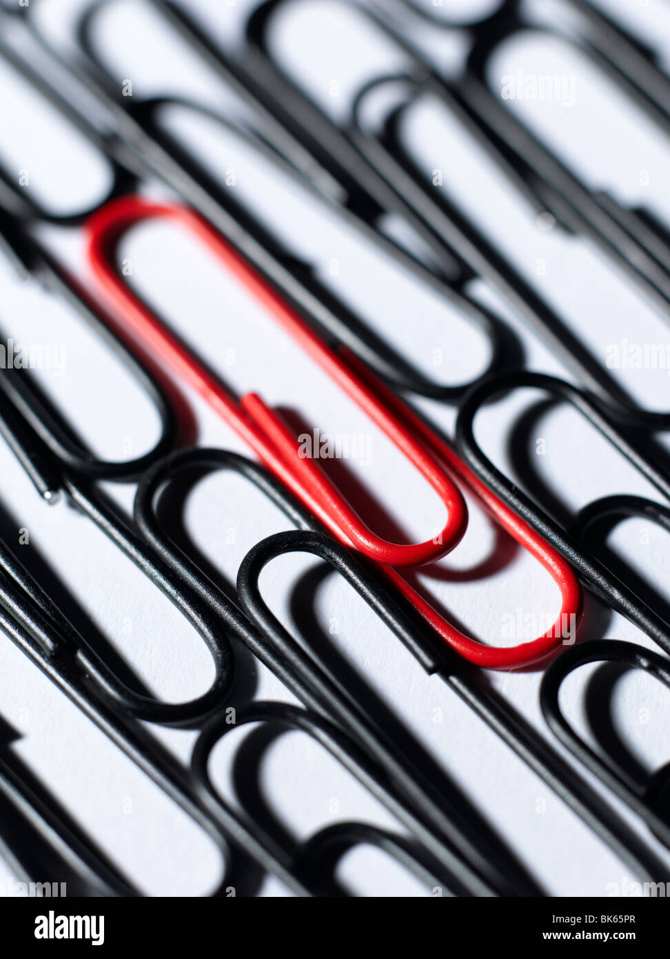 red paper clip among black Stock Photo - Alamy