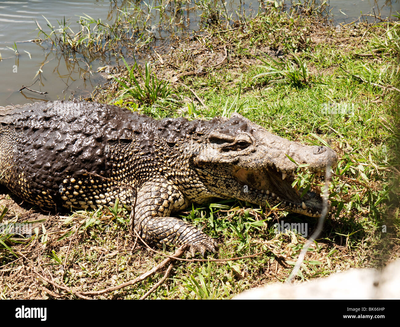 Taino cuba hi-res stock photography and images - Alamy