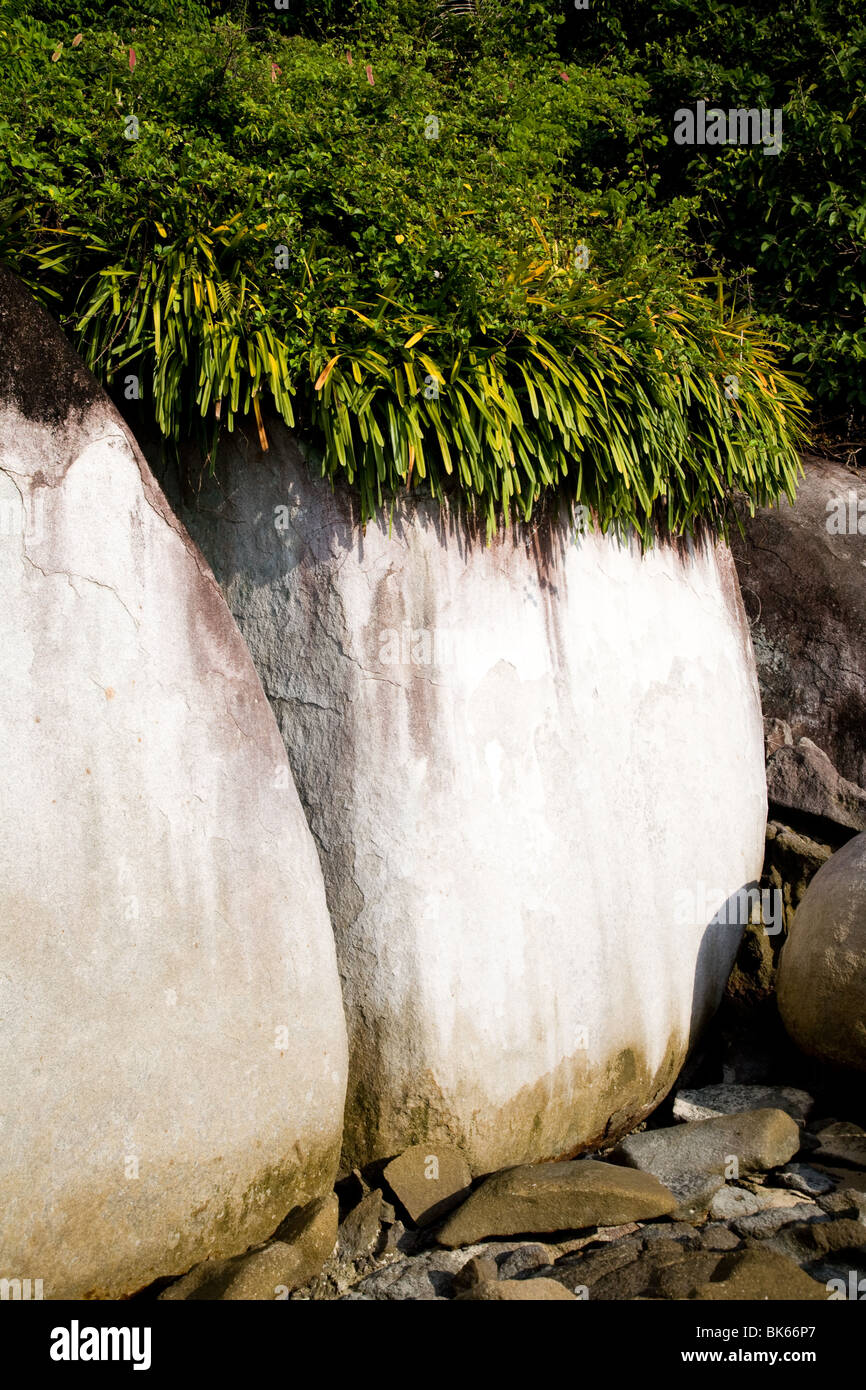 Berjaya hotel malaysia tioman island hi-res stock photography and ...