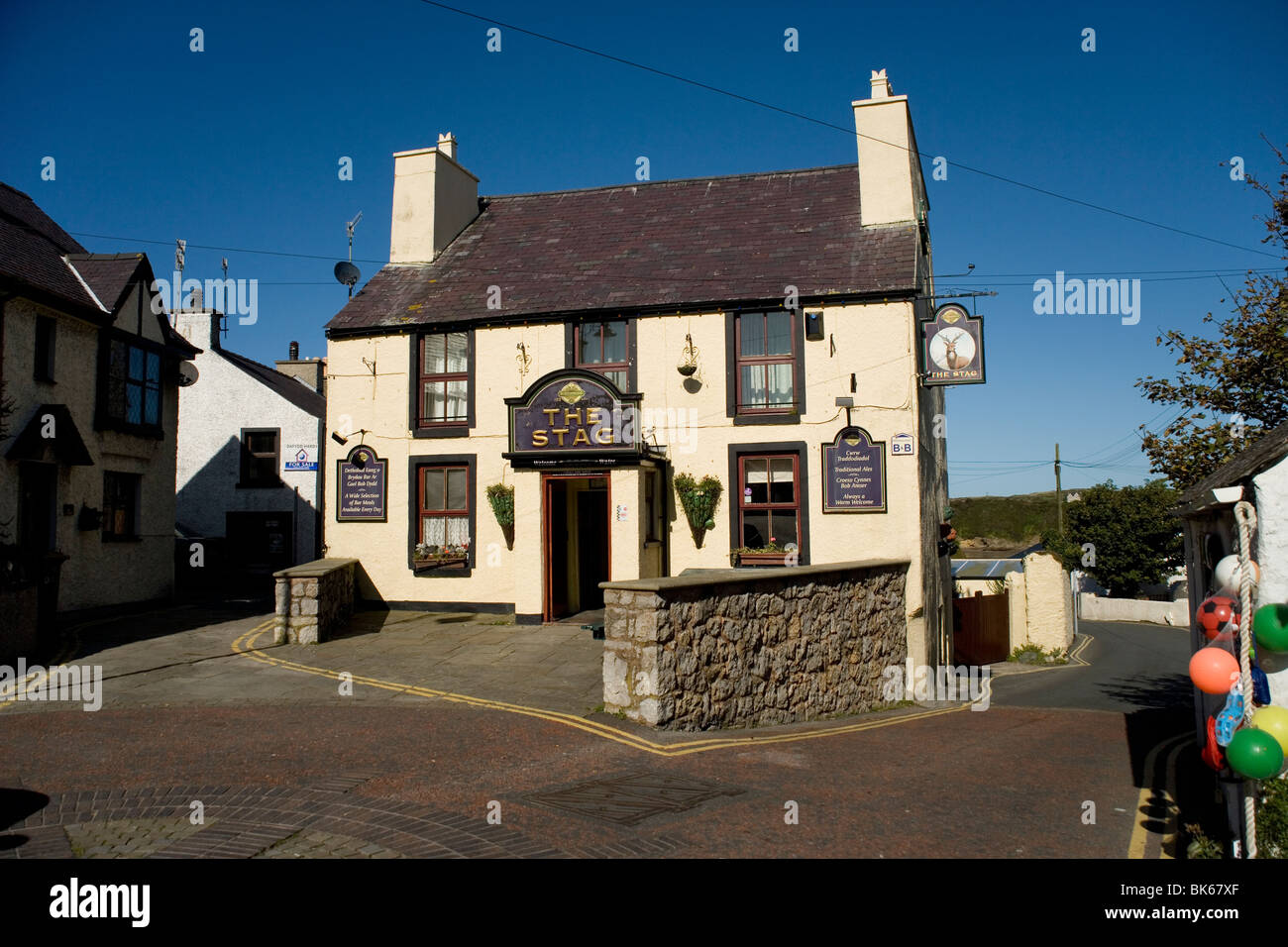 Stag At Bay Stock Photos & Stag At Bay Stock Images - Alamy