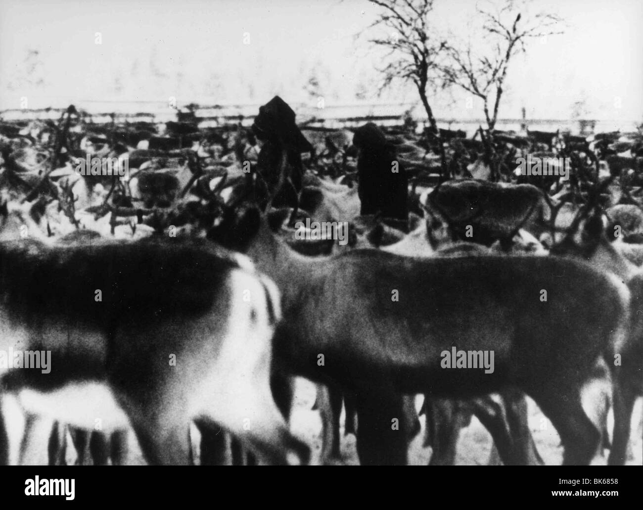 Rauni mollberg hi-res stock photography and images - Alamy