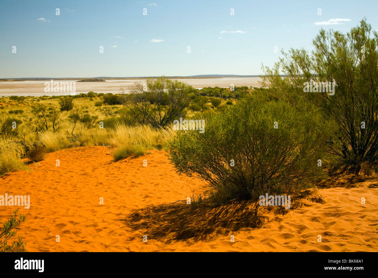 Lake Amadeus From Sand Dune, Northern Territories, Australia Stock ...