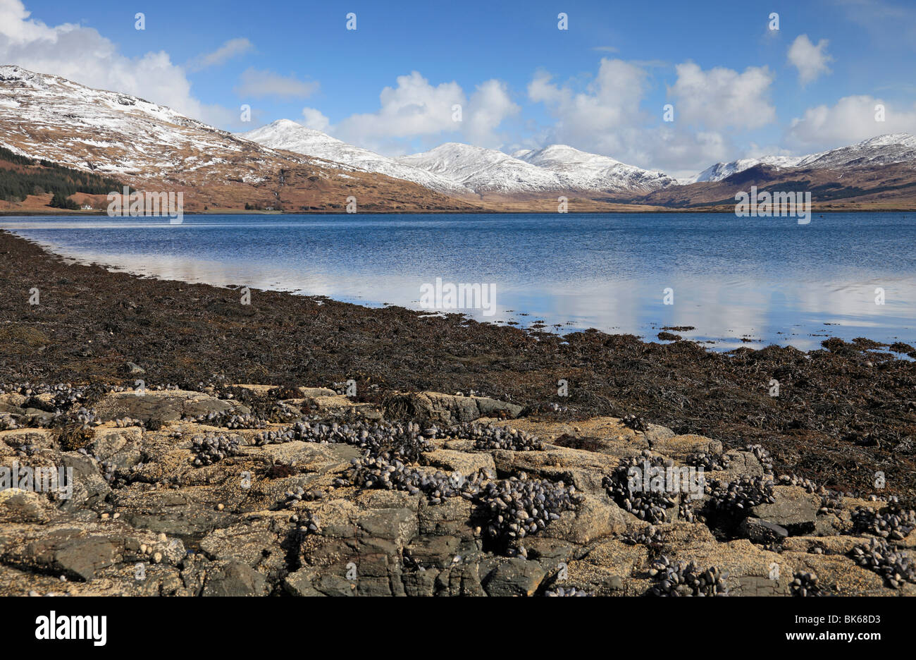 Snow spring sunshine hi-res stock photography and images - Alamy