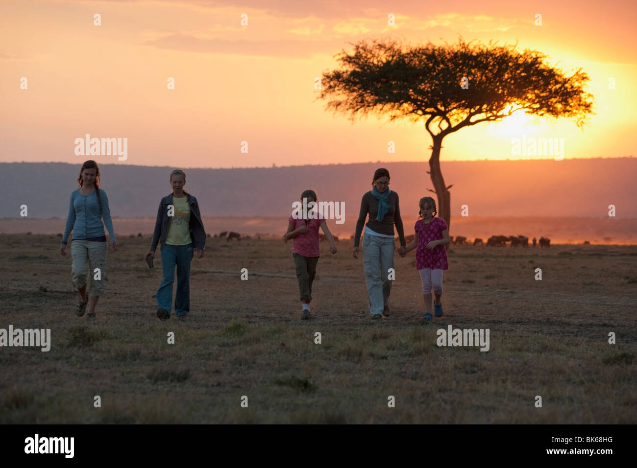 Silhouette group walking africa people hi-res stock photography and ...