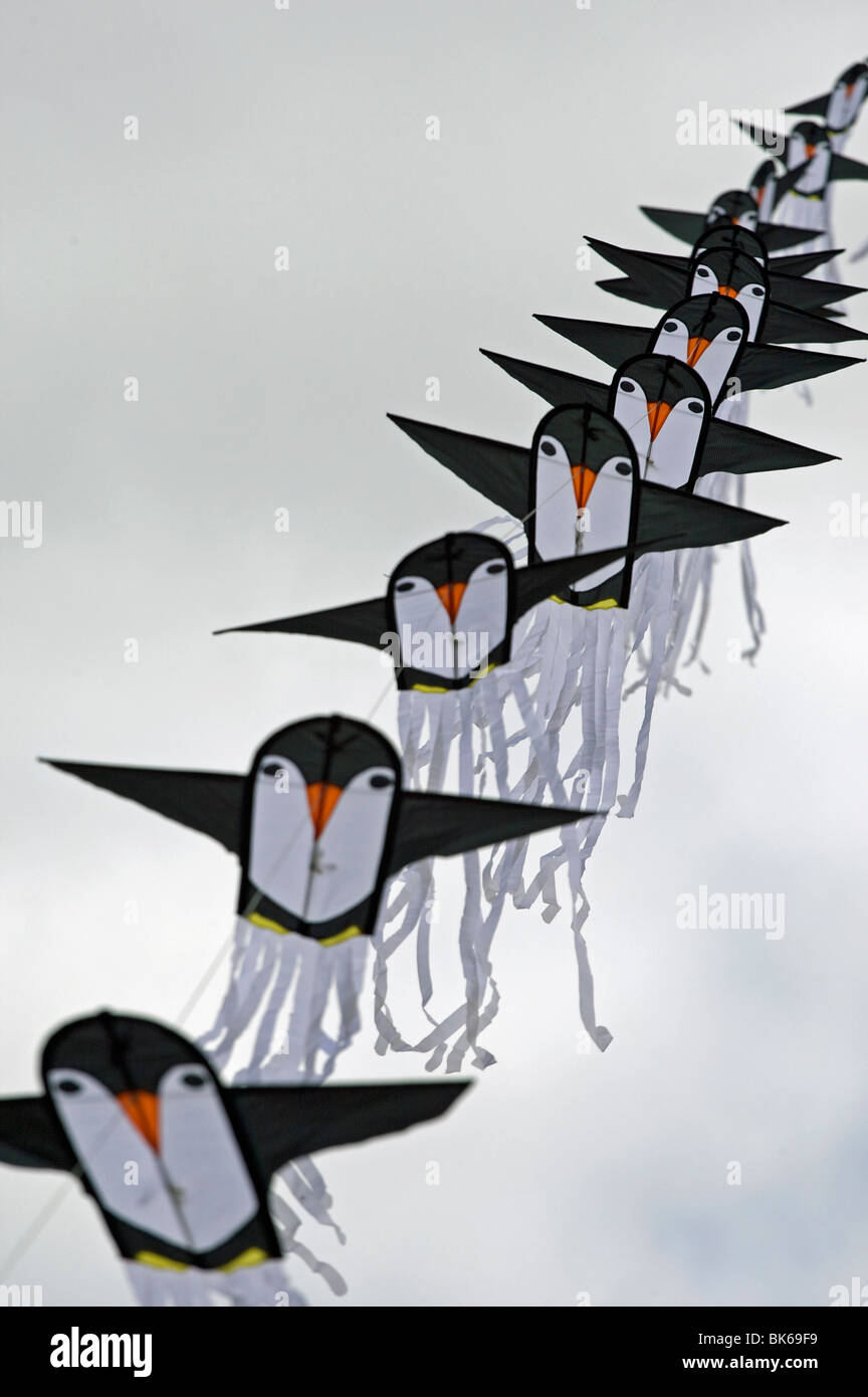 Penguin Formation High Resolution Stock Photography and Images - Alamy