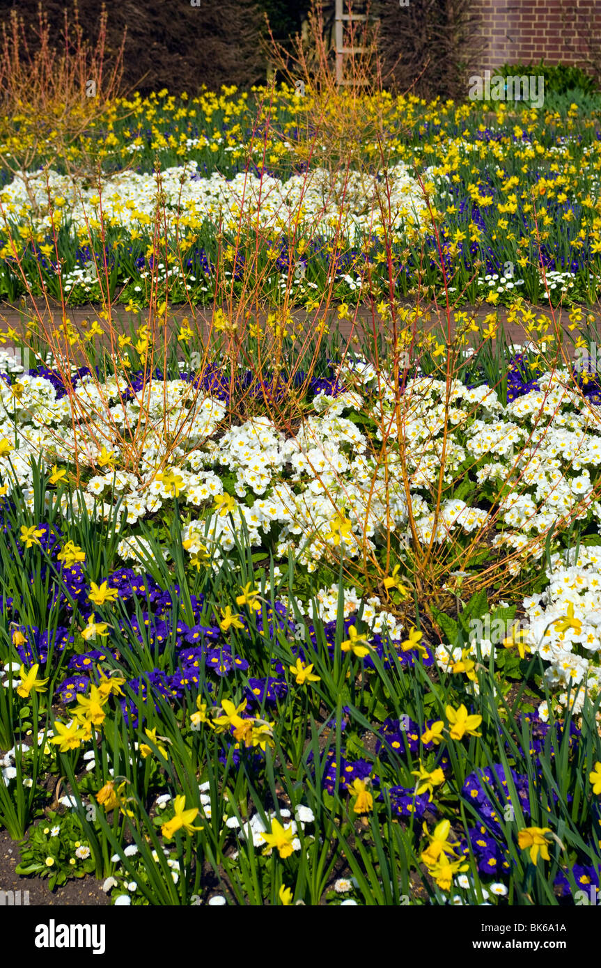 Formal flower display bedding hi-res stock photography and images - Alamy