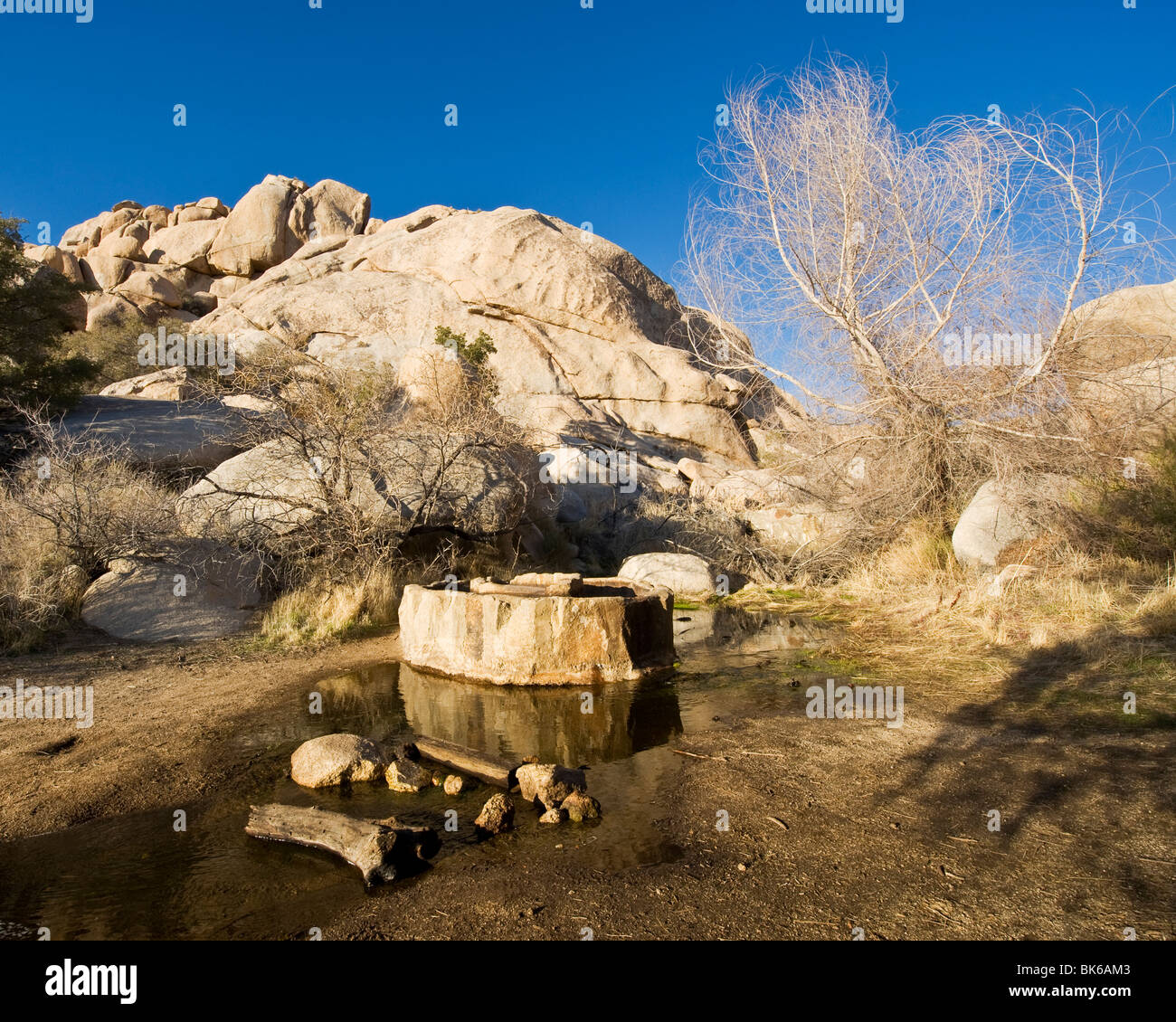 Barker Dam, Joshua Tree National Park, California Stock Photo - Alamy