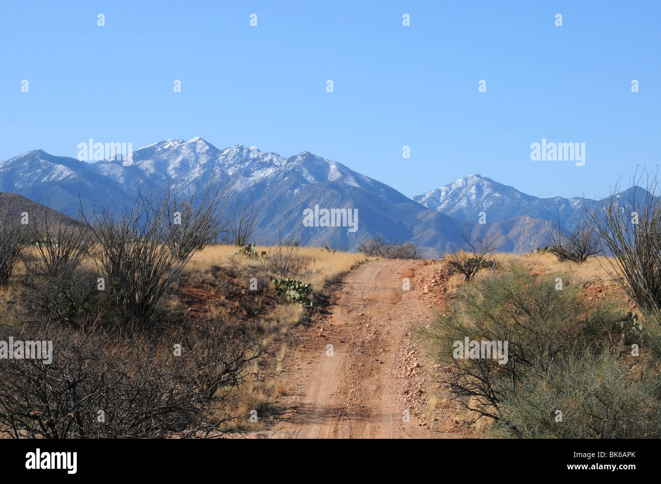 Snow covers the Santa Rita Mountains of the Coronado National Forest in ...