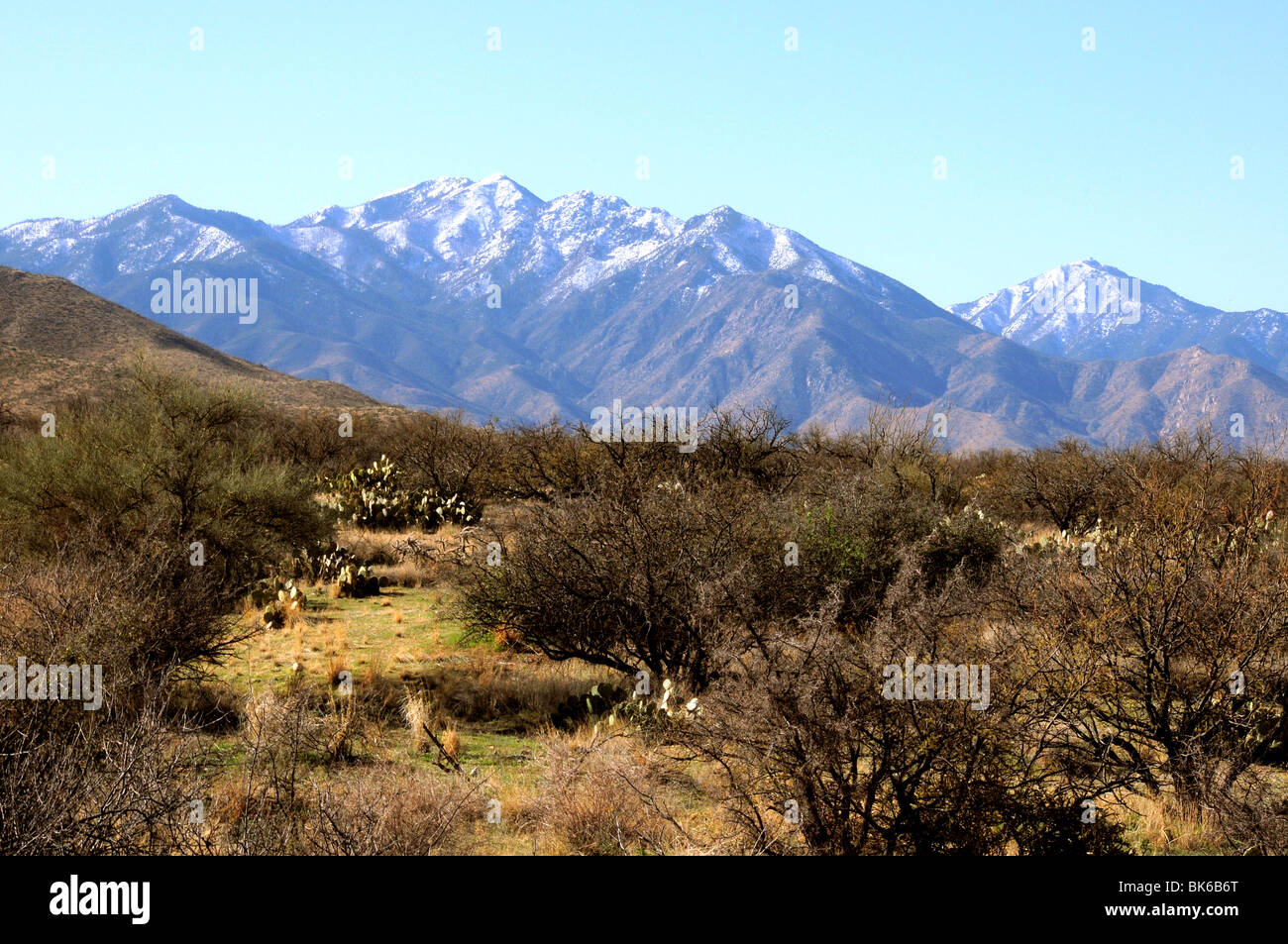 Snow covers the Santa Rita Mountains of the Coronado National Forest in ...