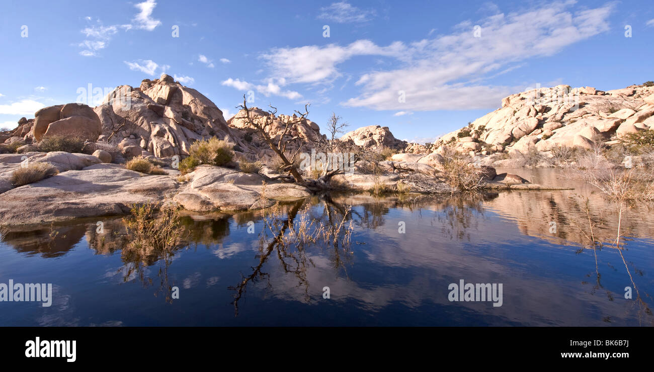 Barker Dam, Joshua Tree National Park, California Stock Photo - Alamy