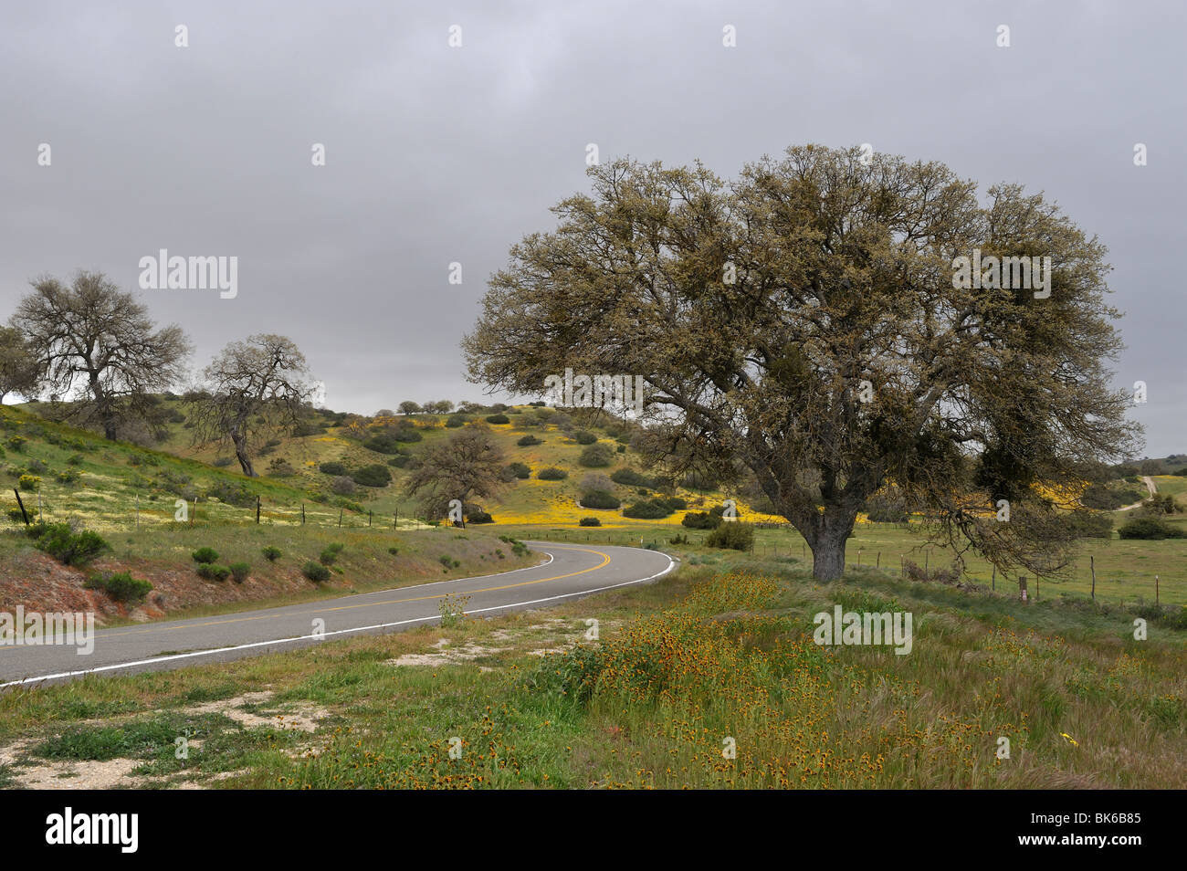 Goldfields highway hi-res stock photography and images - Alamy