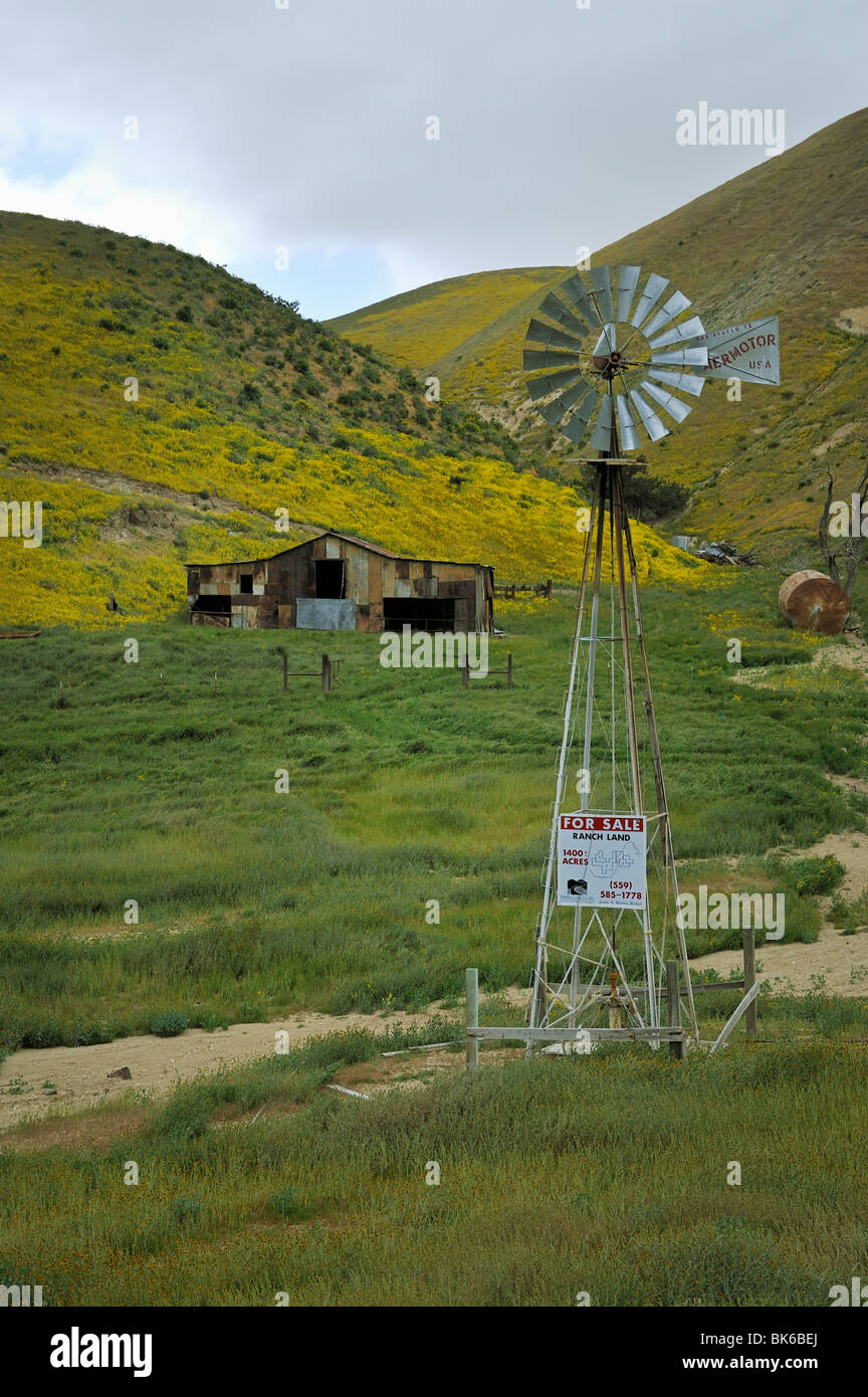For Sale Ranch with colorful hillside with Goldfields (Asteraceae ...