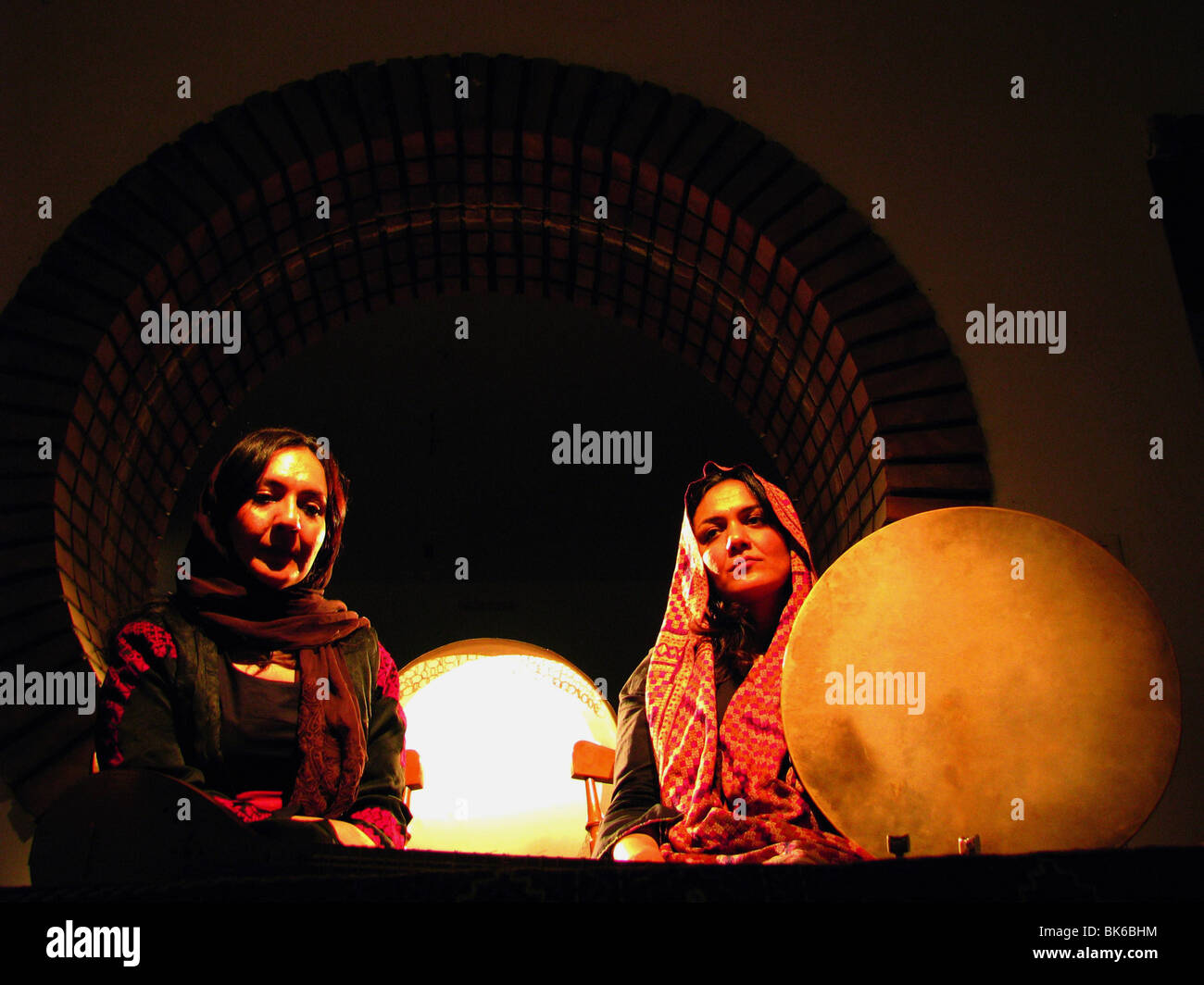 Kasi az gorbehaye irani khabar nadareh No One Knows About Persian Cats ...