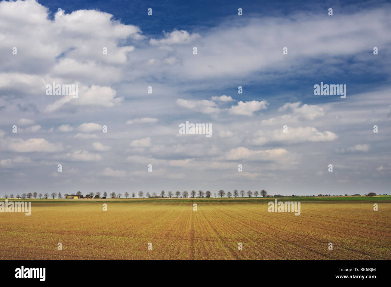The Fens Cambridgeshire Stock Photos & The Fens Cambridgeshire Stock ...