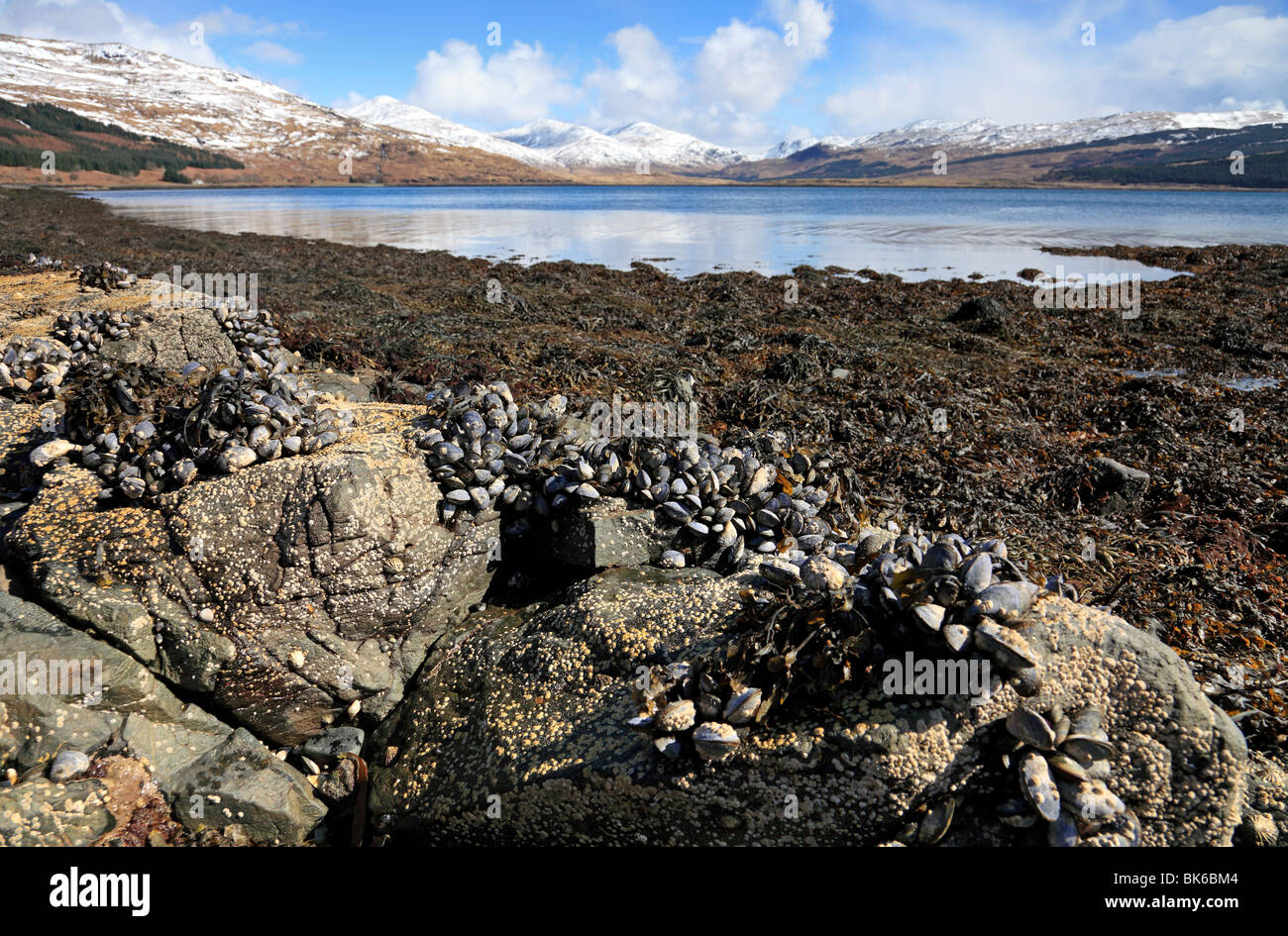 Spring scotland mountains hi-res stock photography and images - Alamy