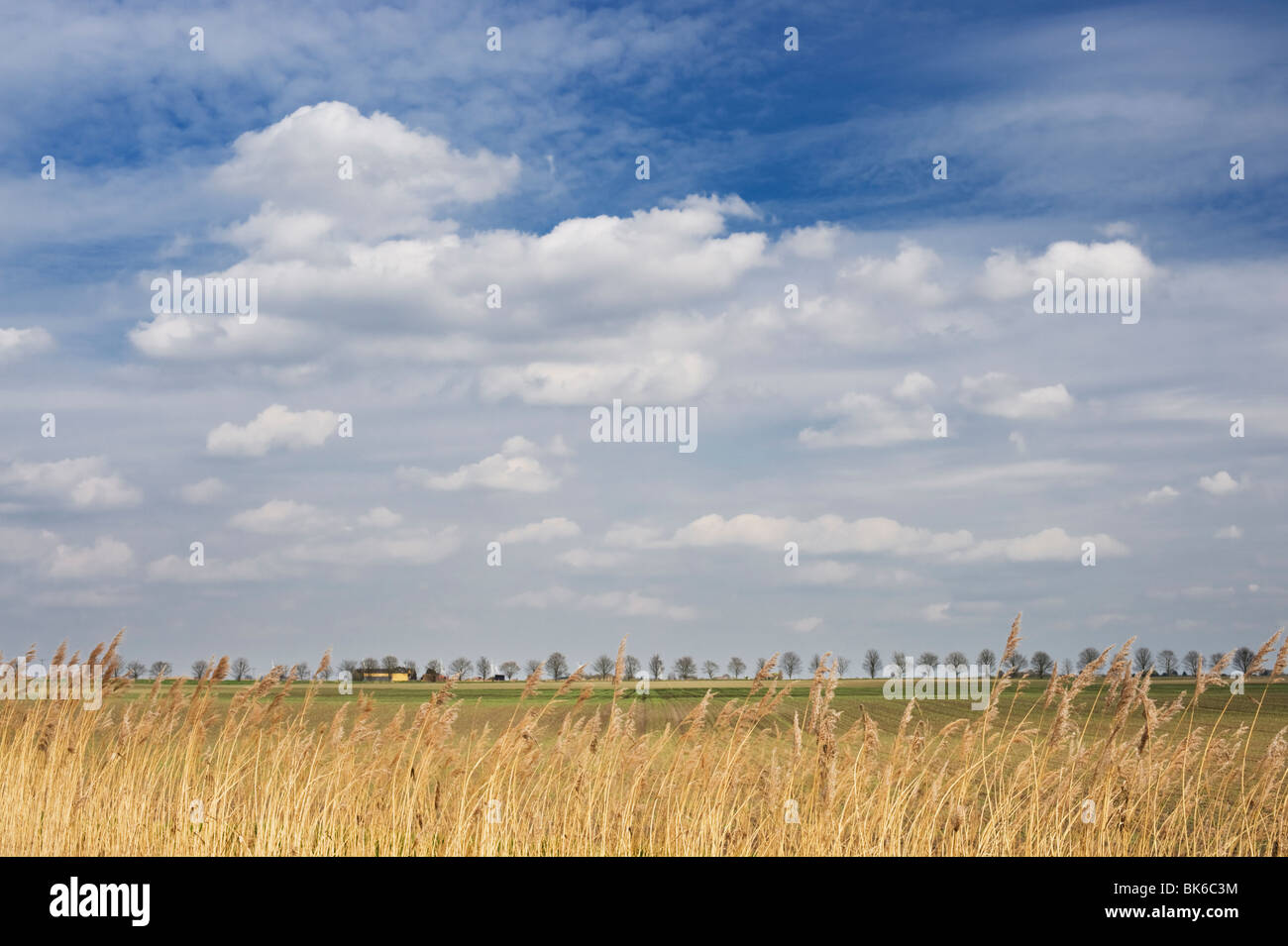The Fens Cambridgeshire Stock Photos & The Fens Cambridgeshire Stock ...