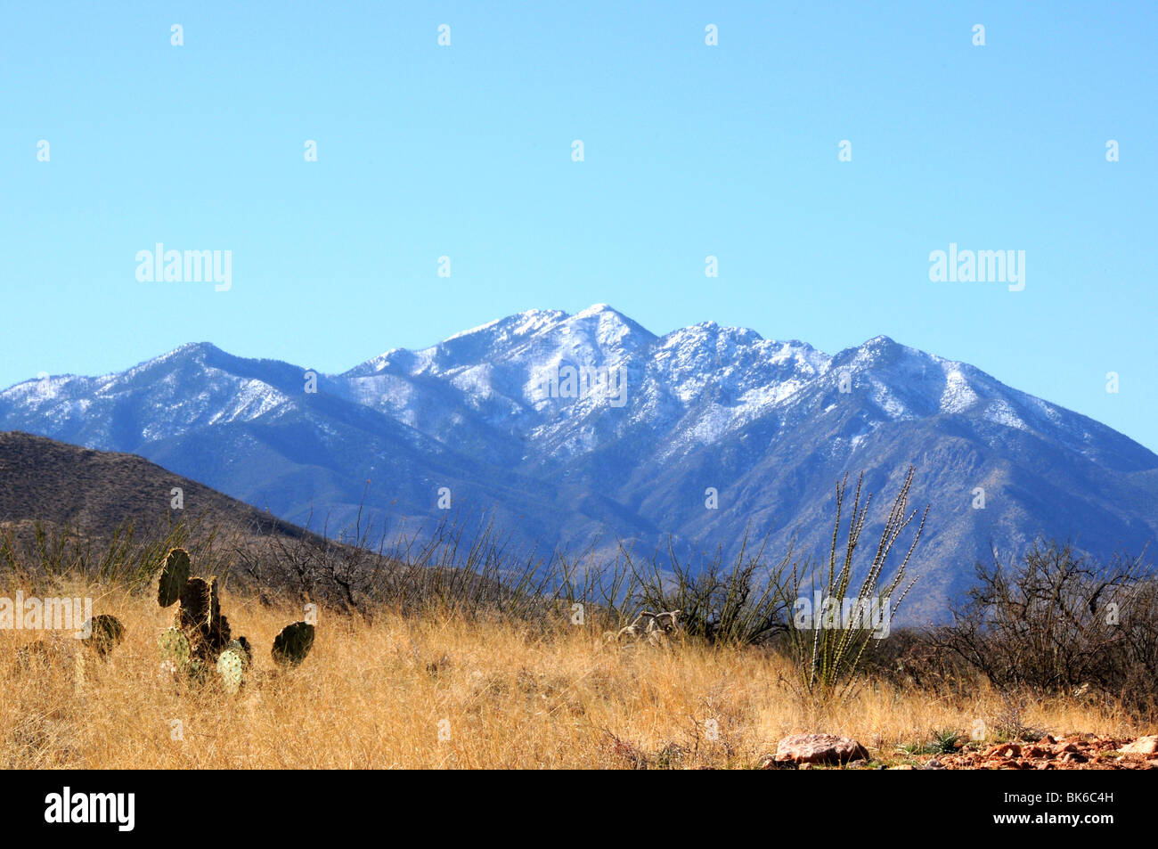 Snow covers the Santa Rita Mountains of the Coronado National Forest in ...