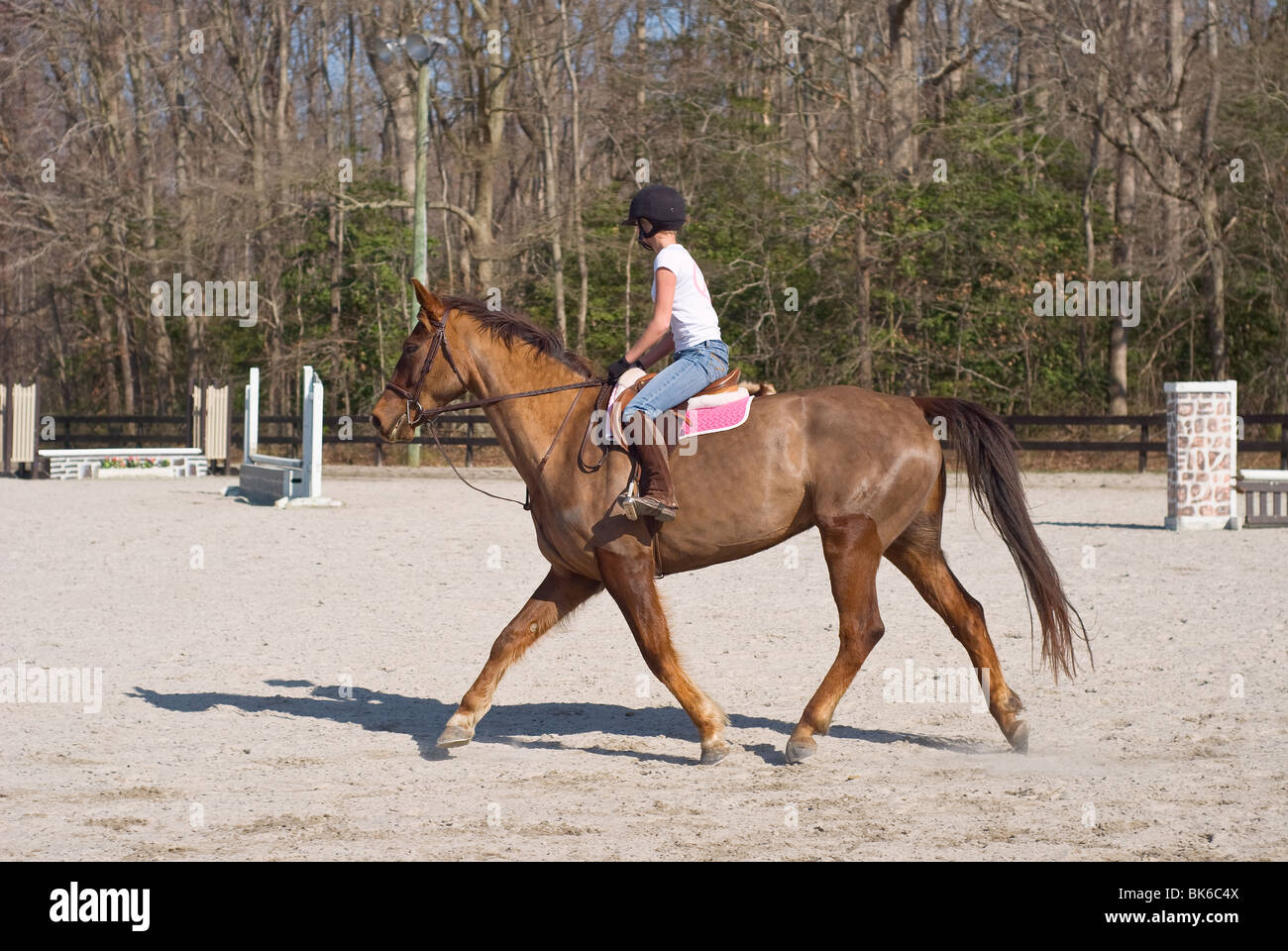 Young Woman Equestrian Training on Brown Horse Stock Photo - Alamy