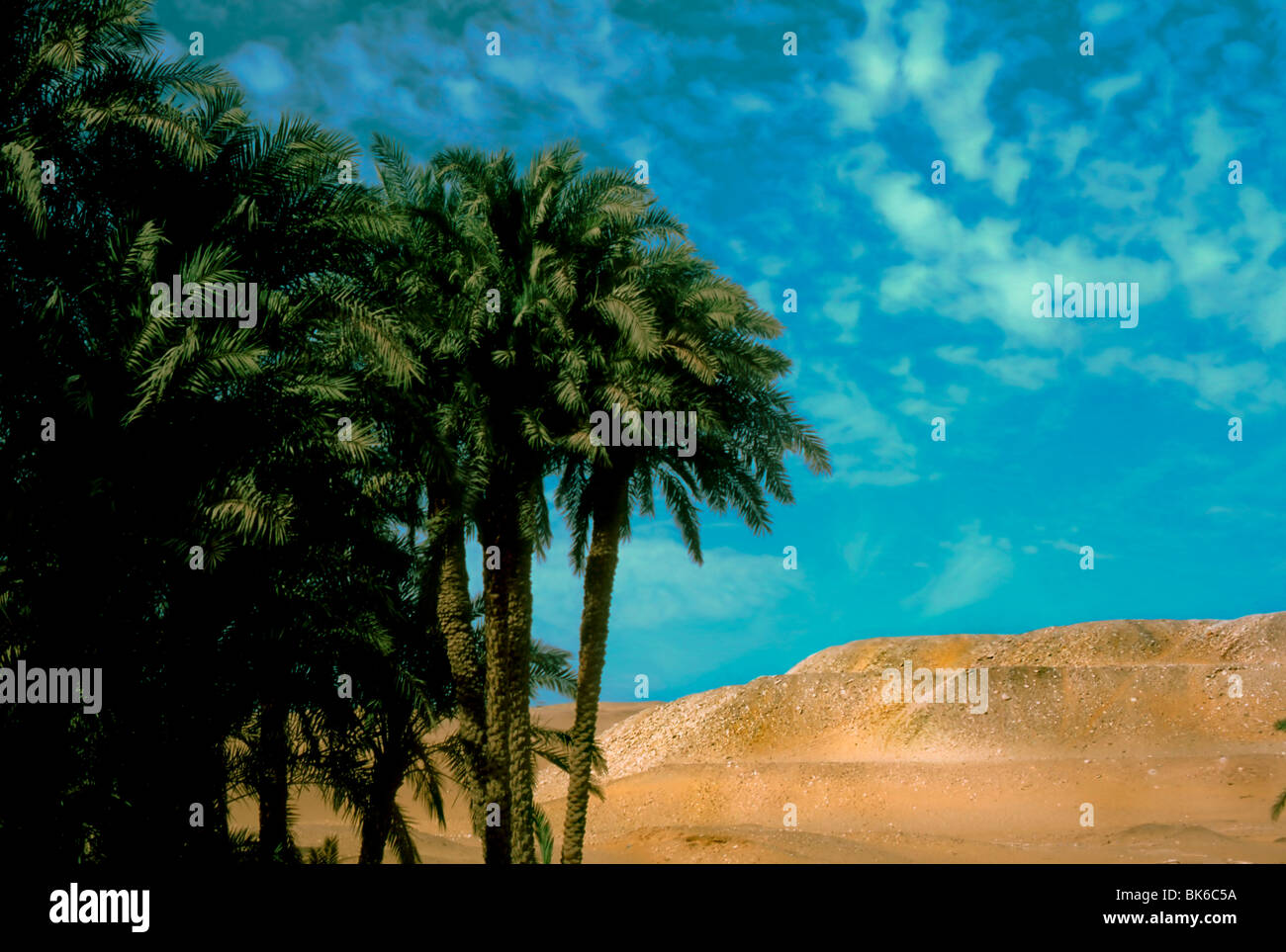 Louxor, Egypt, General View, Landscape, of North African Desert with ...