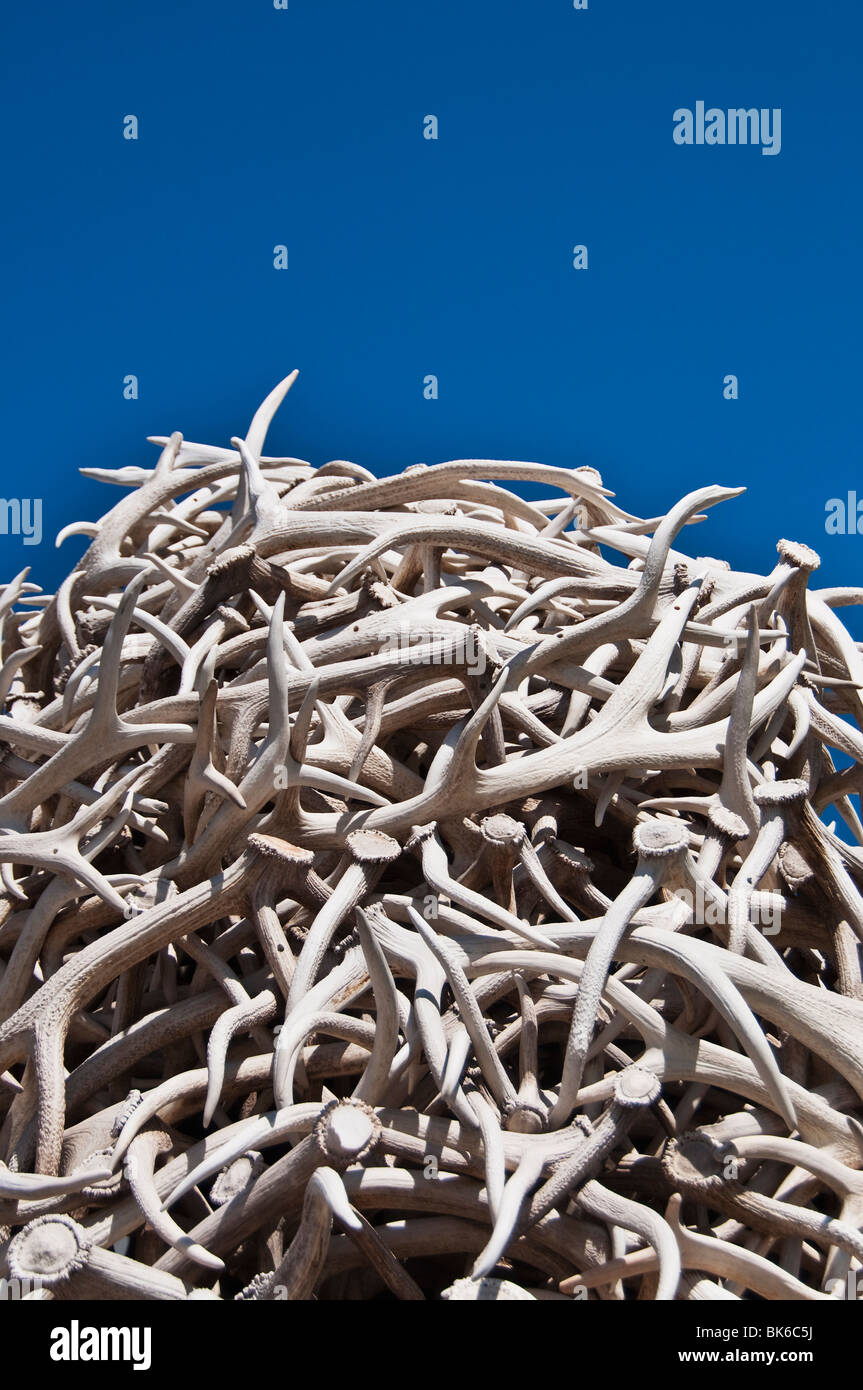 Pile of antlers hi-res stock photography and images - Alamy
