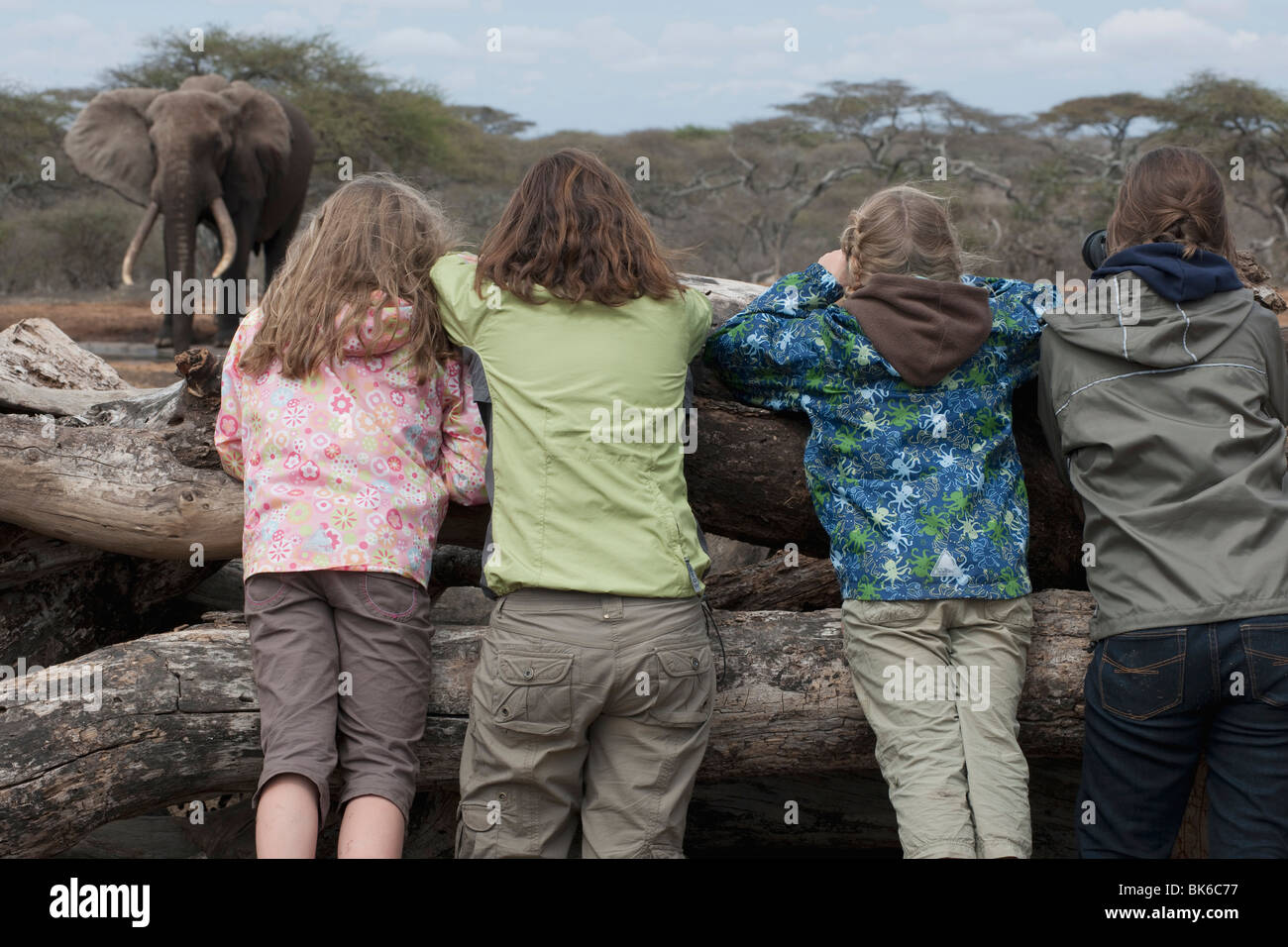 Watching Elephants, Kenya, Africa Stock Photo - Alamy