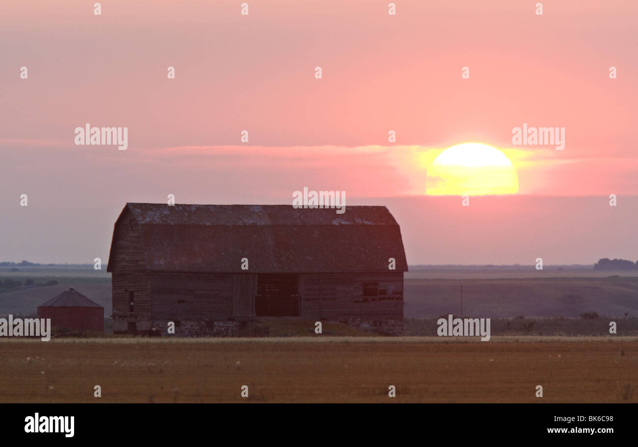 Behind the barn hi-res stock photography and images - Alamy