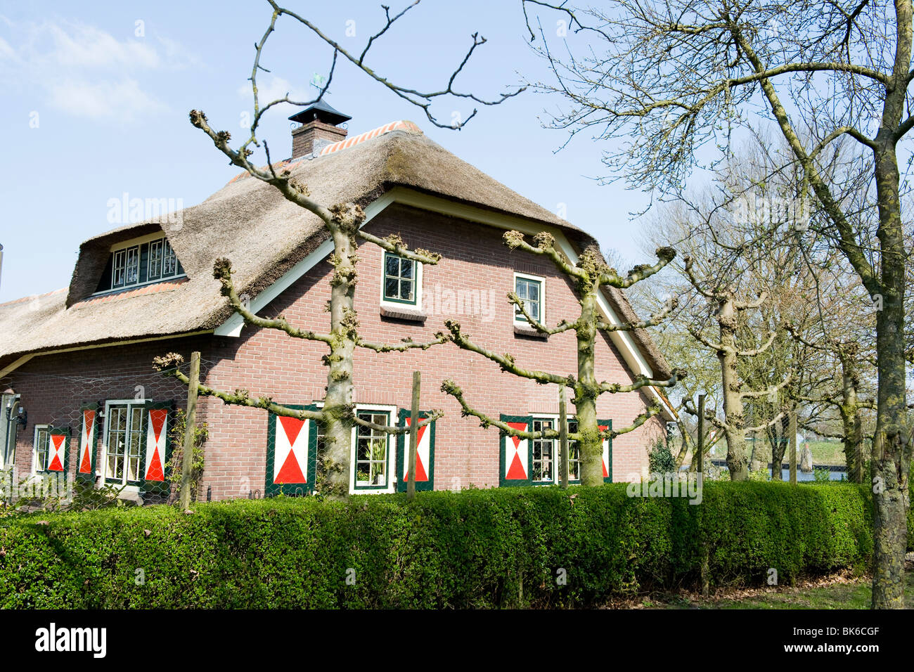 Typical Dutch farmhouse with straw roof and blinds Stock Photo - Alamy