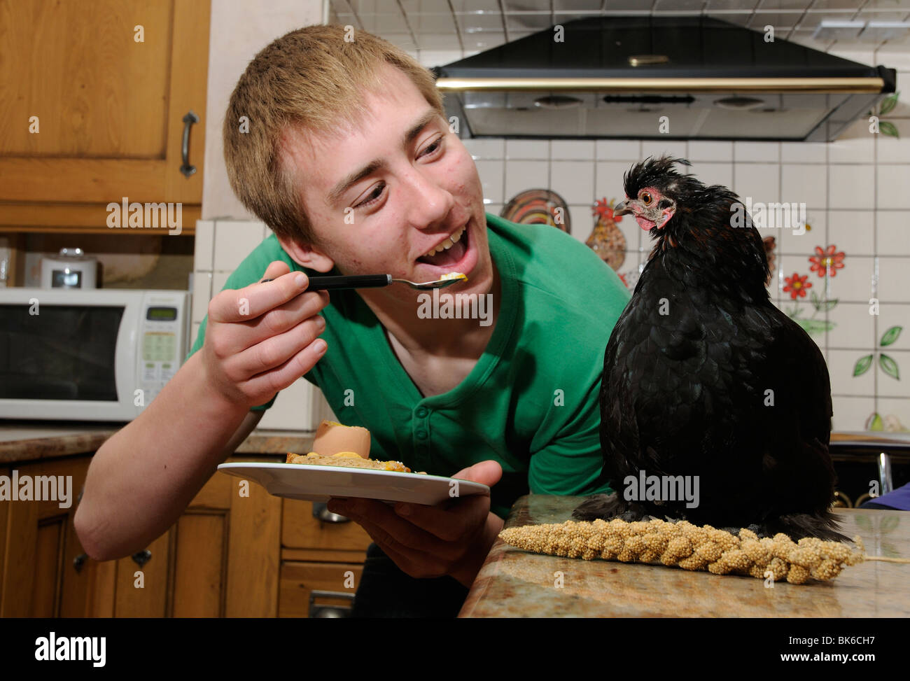 Teenage boy eating a boiled egg for his breakfast watched by his pet ...