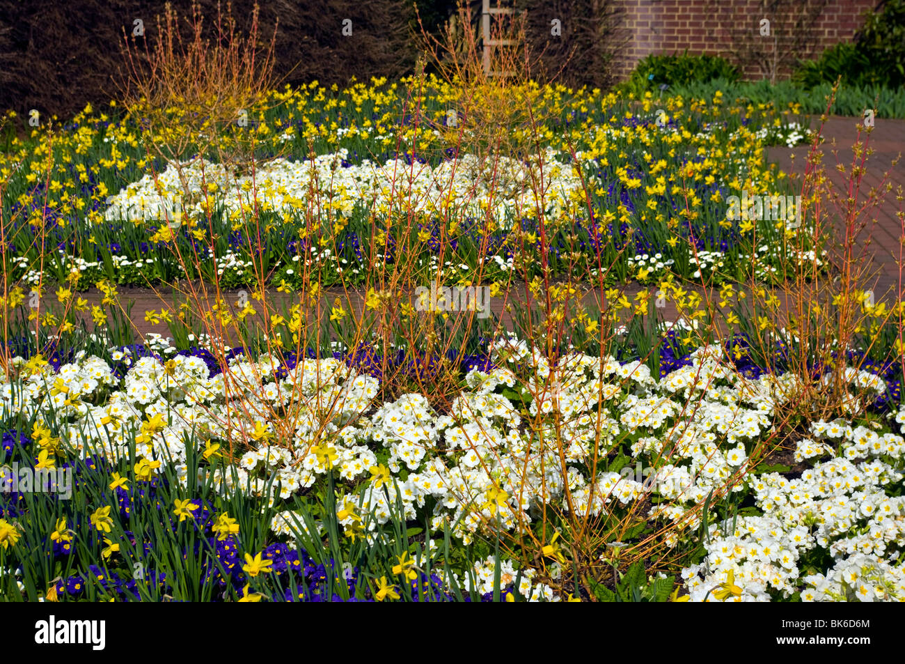 Formal flower display bedding hi-res stock photography and images - Alamy
