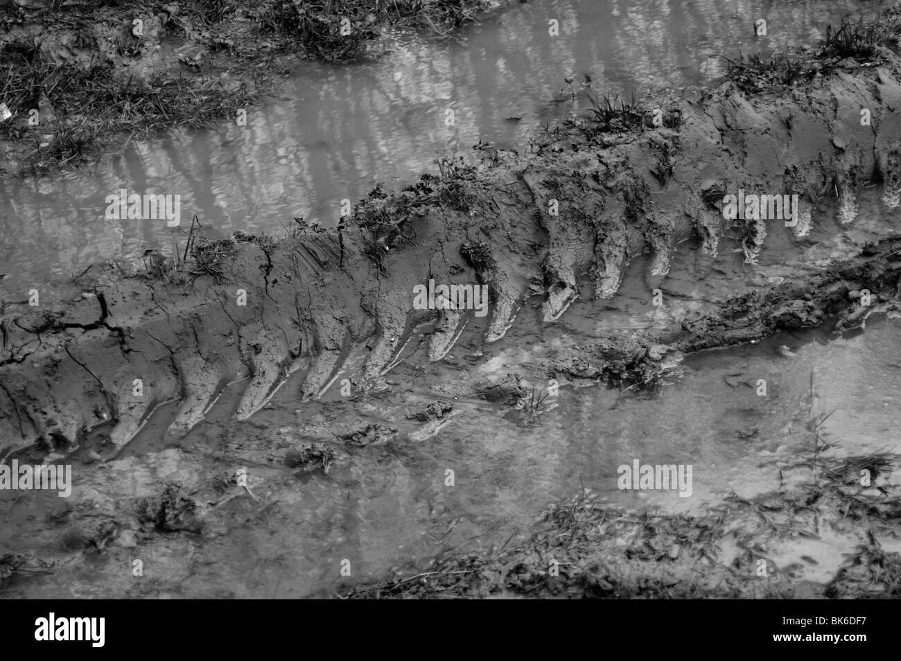 Mark path Black and White Stock Photos & Images - Alamy
