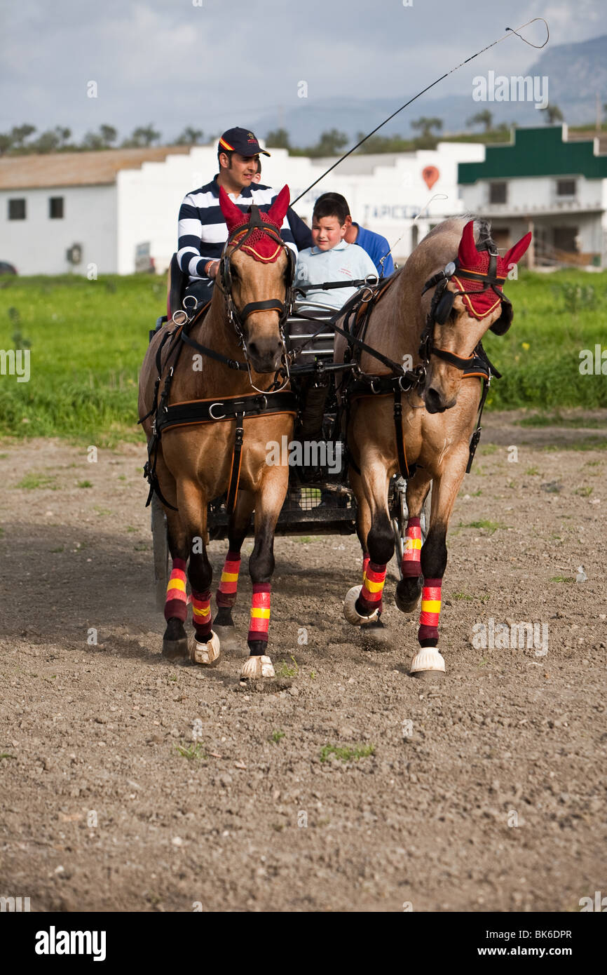 Horse cart, Spain Stock Photo - Alamy