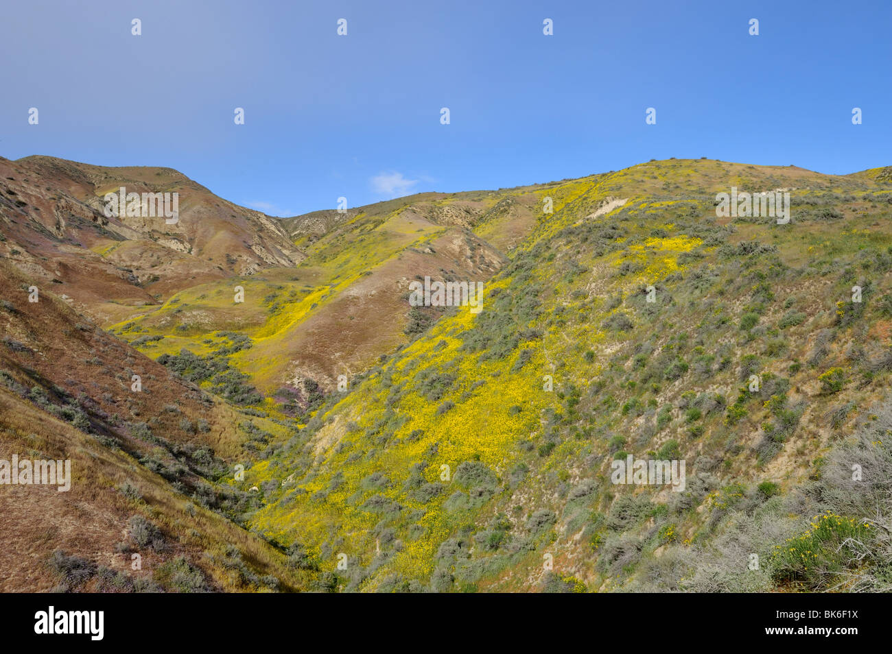 Temblor Range, Carrizo Plain National Monument, CA 100411 35355 Stock ...