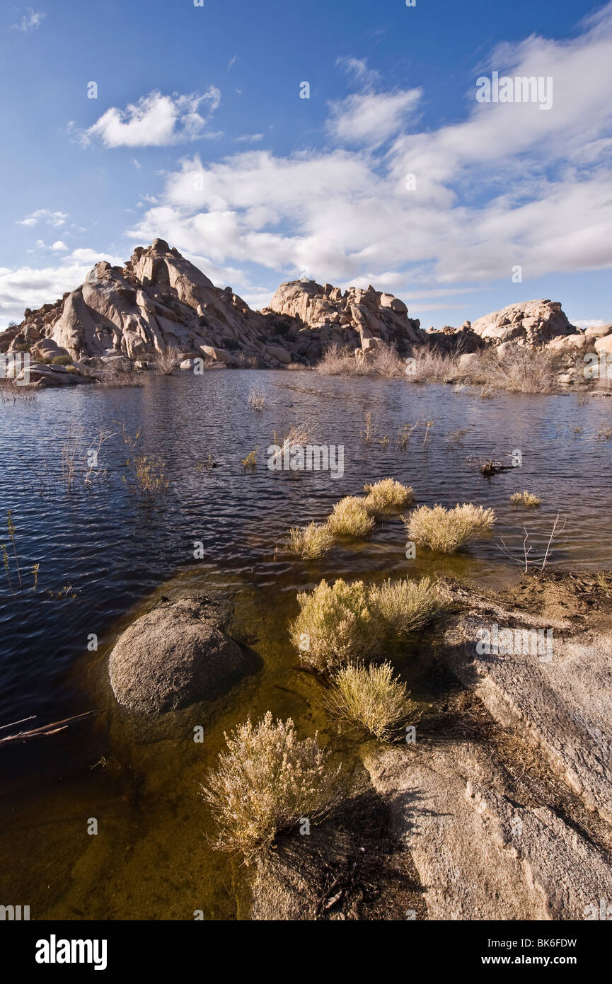 Barker Dam, Joshua Tree National Park, California Stock Photo - Alamy
