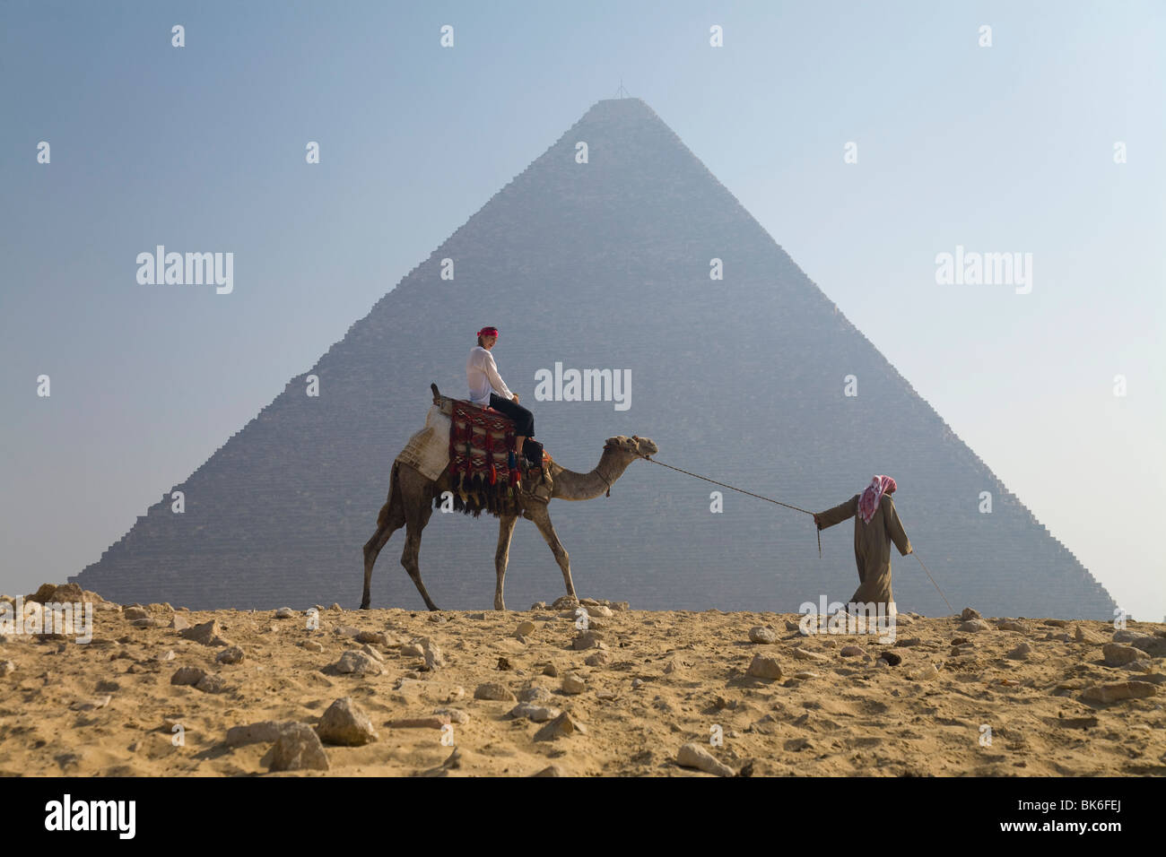Young Woman Tourist Riding A Camel Lead By A Guide At The Pyramids Of ...