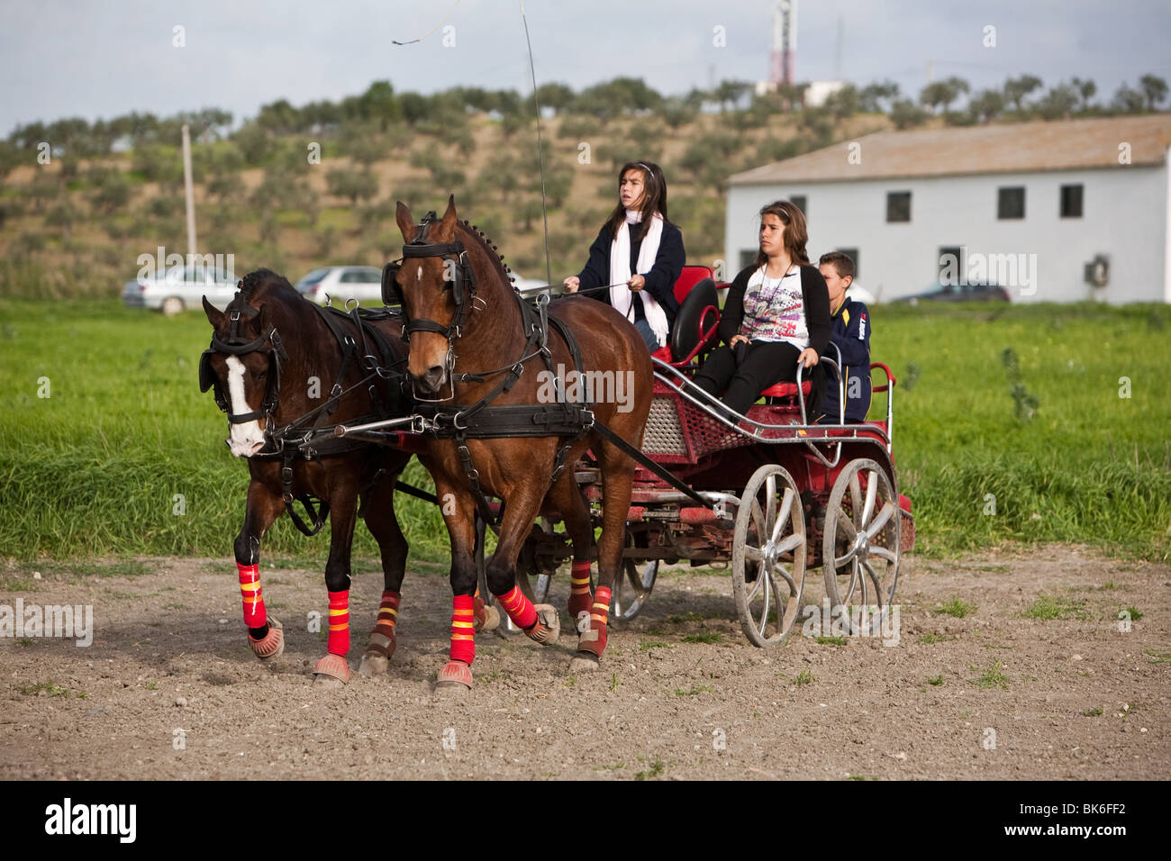 Horse cart, Spain Stock Photo - Alamy