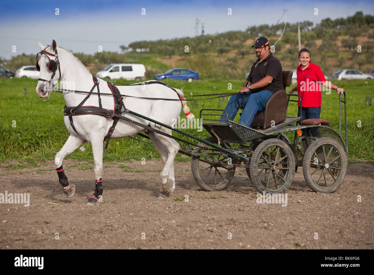 Horse cart, Spain Stock Photo - Alamy