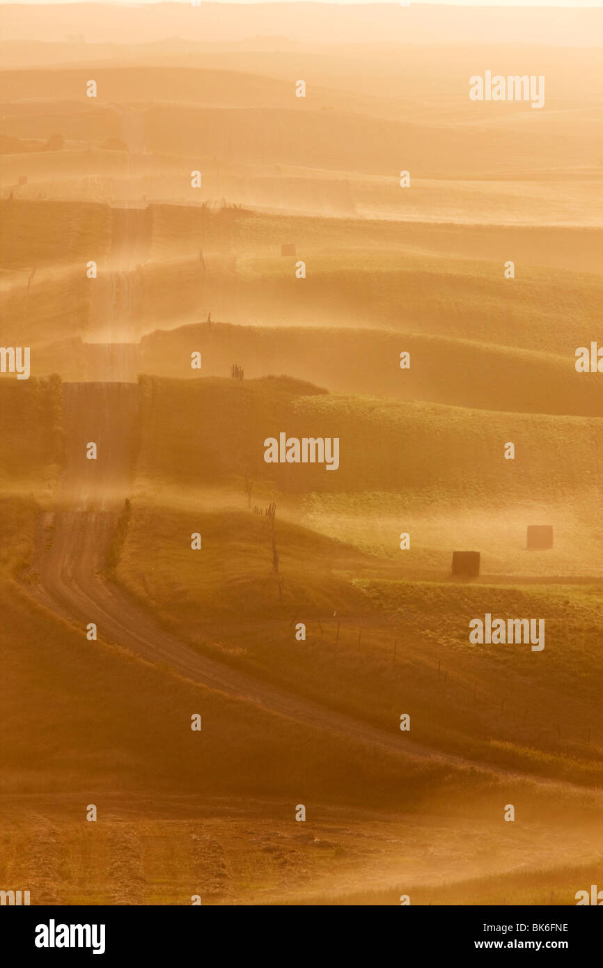 Ground mist along road and fields Stock Photo - Alamy