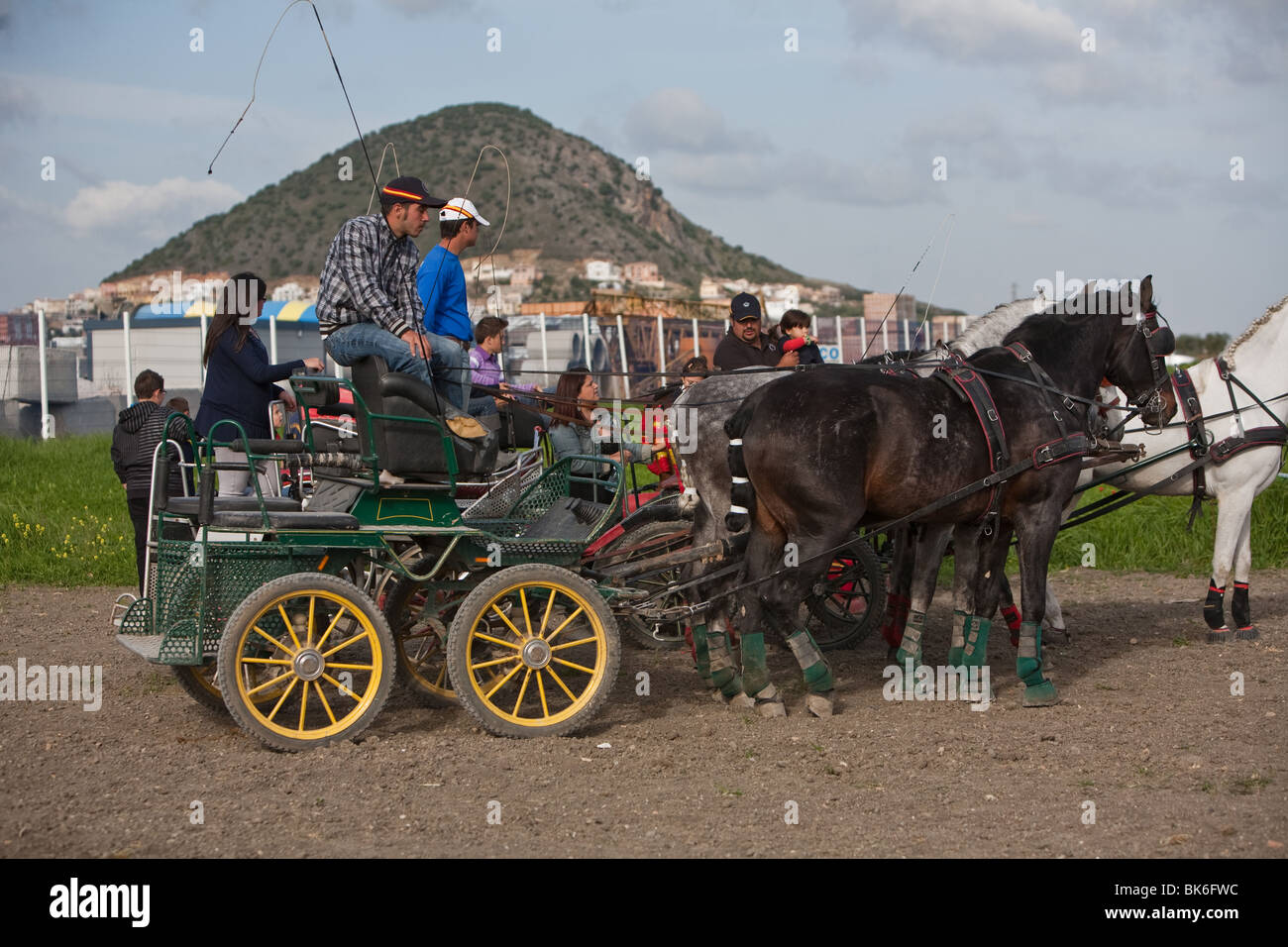 Spanish purebred horse hitch, Andalusia, Spain Stock Photo - Alamy