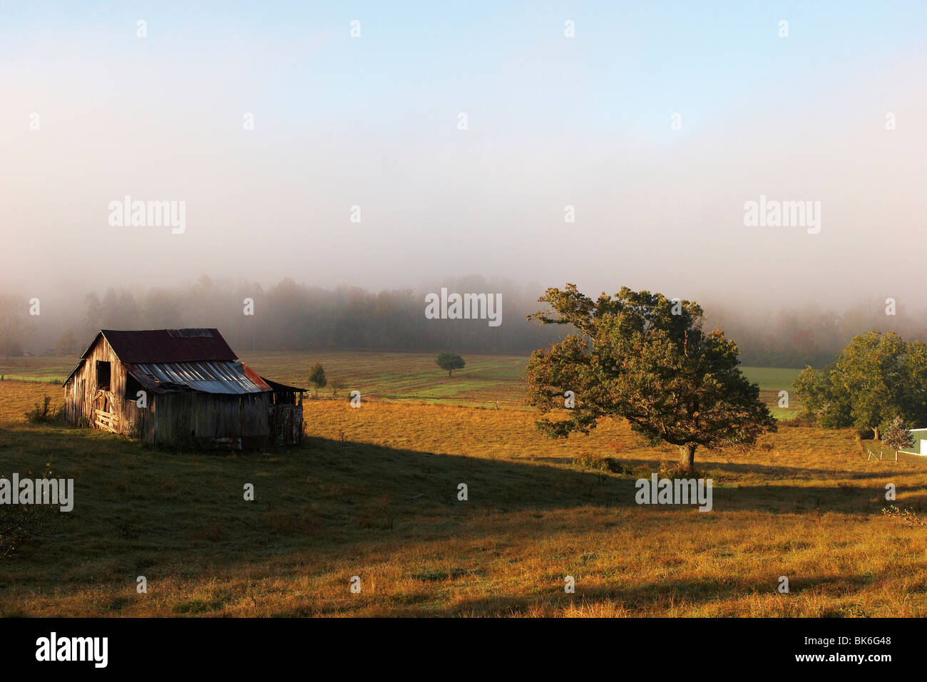 Morning on a farm in Tennessee Stock Photo - Alamy