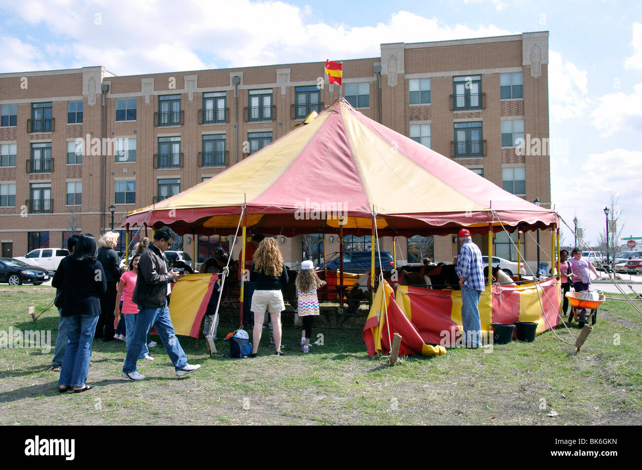 Circus animals kelly miller ponies pony riding tent people hi-res stock ...