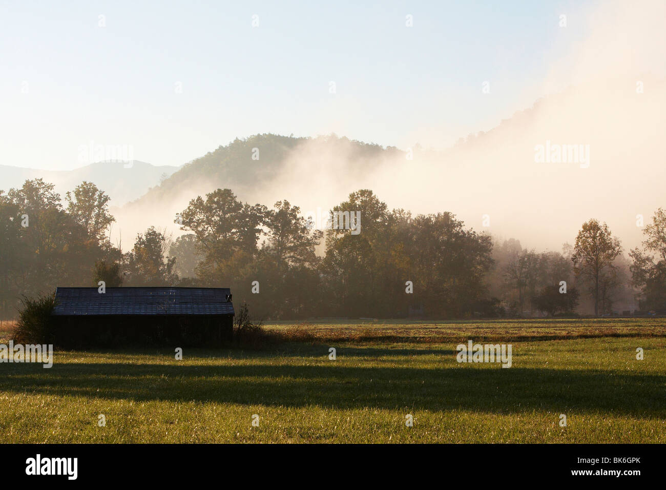 Morning on the farm hi-res stock photography and images - Alamy