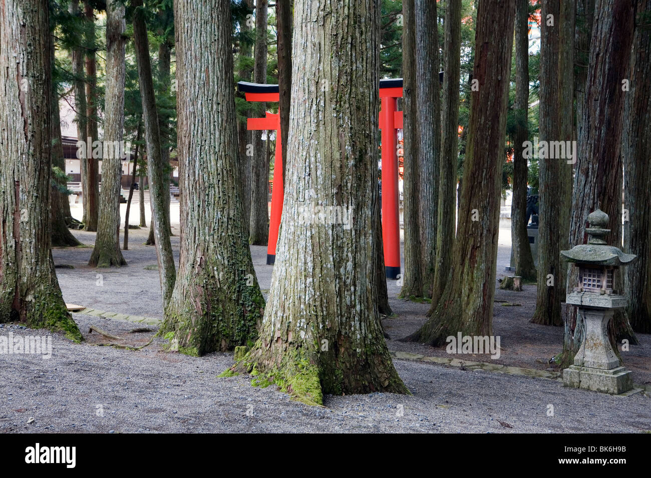 Koyasan Danjo Garan High Resolution Stock Photography and Images - Alamy