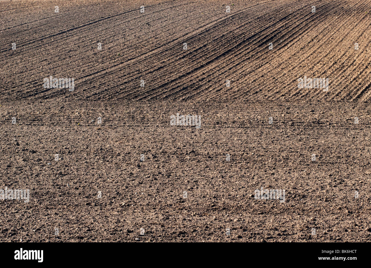 Ready for sewing hi-res stock photography and images - Alamy