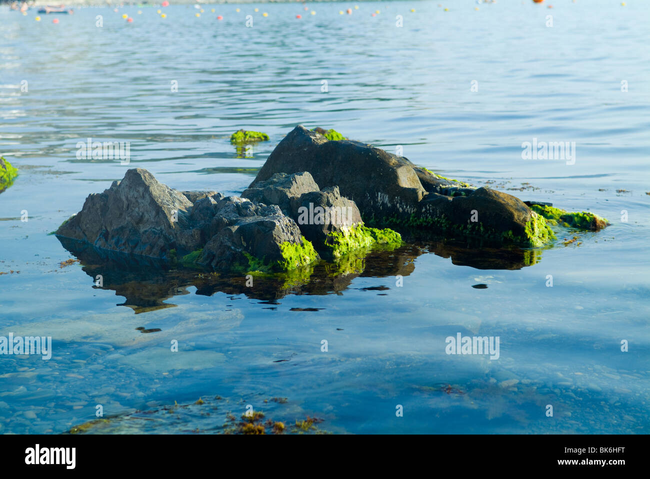Background of a surface of water Stock Photo - Alamy