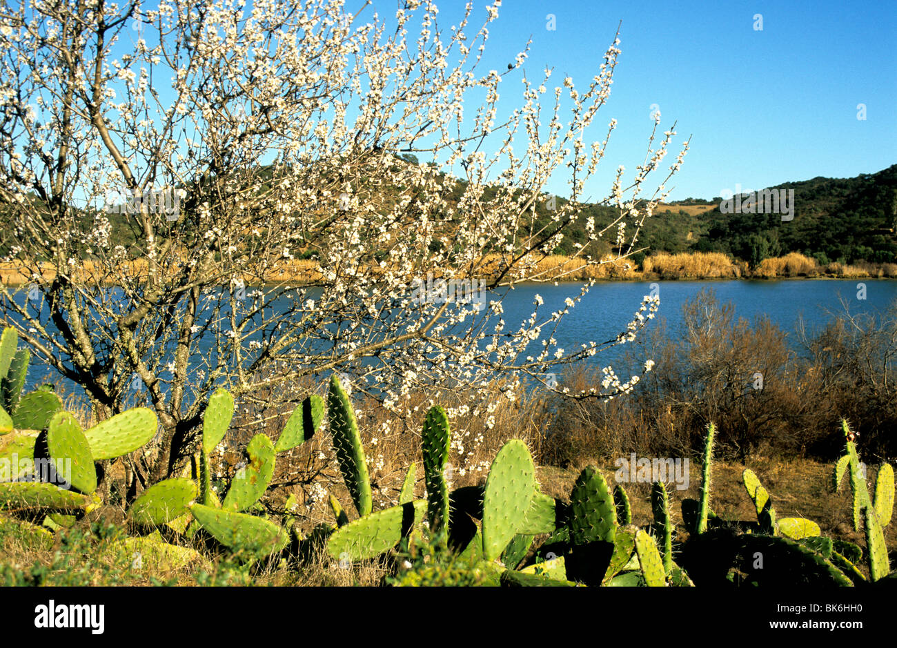 Guadiana river natural border hi-res stock photography and images - Alamy